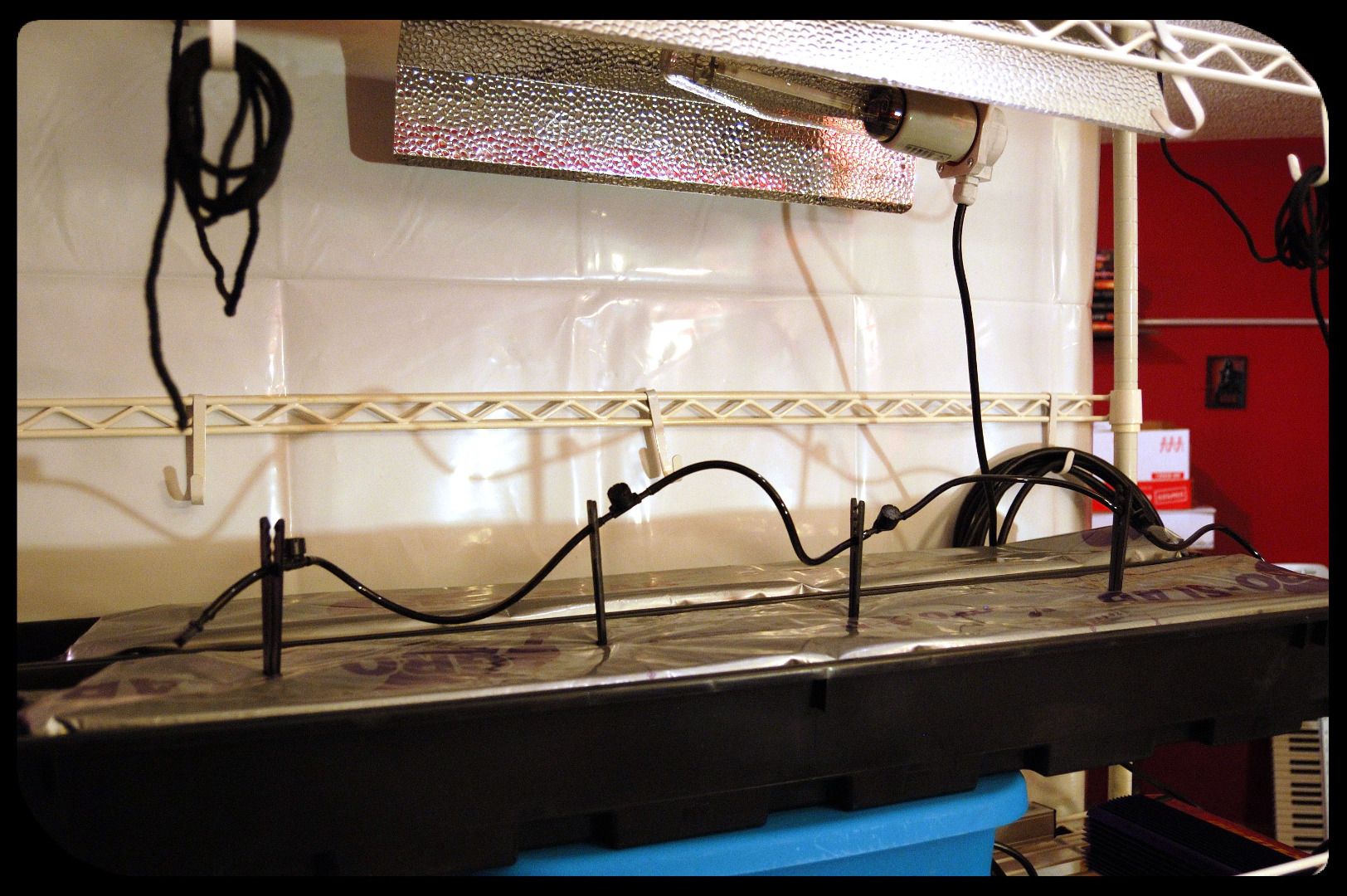 Hydroponics Setup on Wheels : 11 Steps (with Pictures) - Instructables