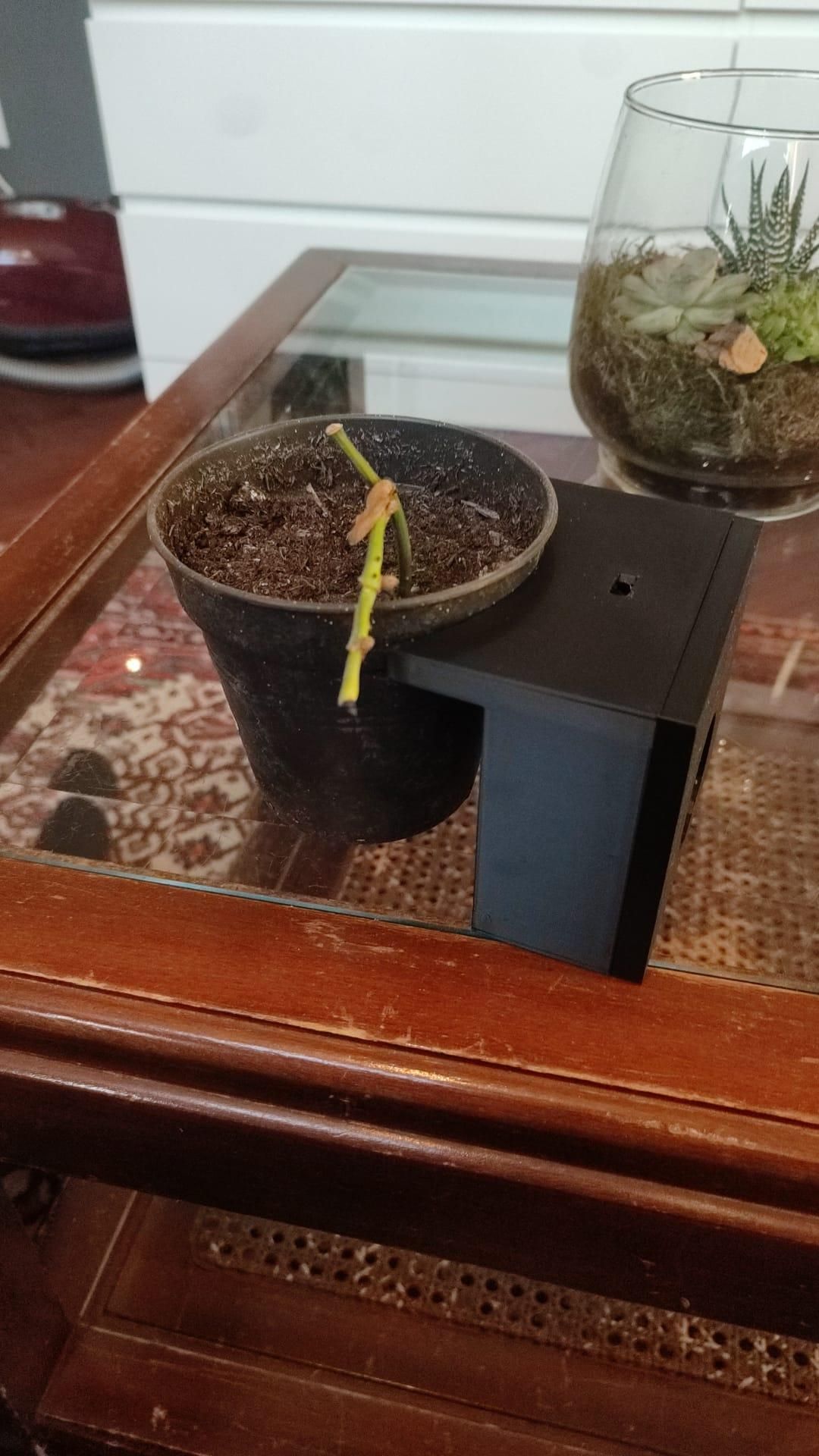 Talking Flower Pot Add-On With Arduino : 5 Steps (with Pictures ...