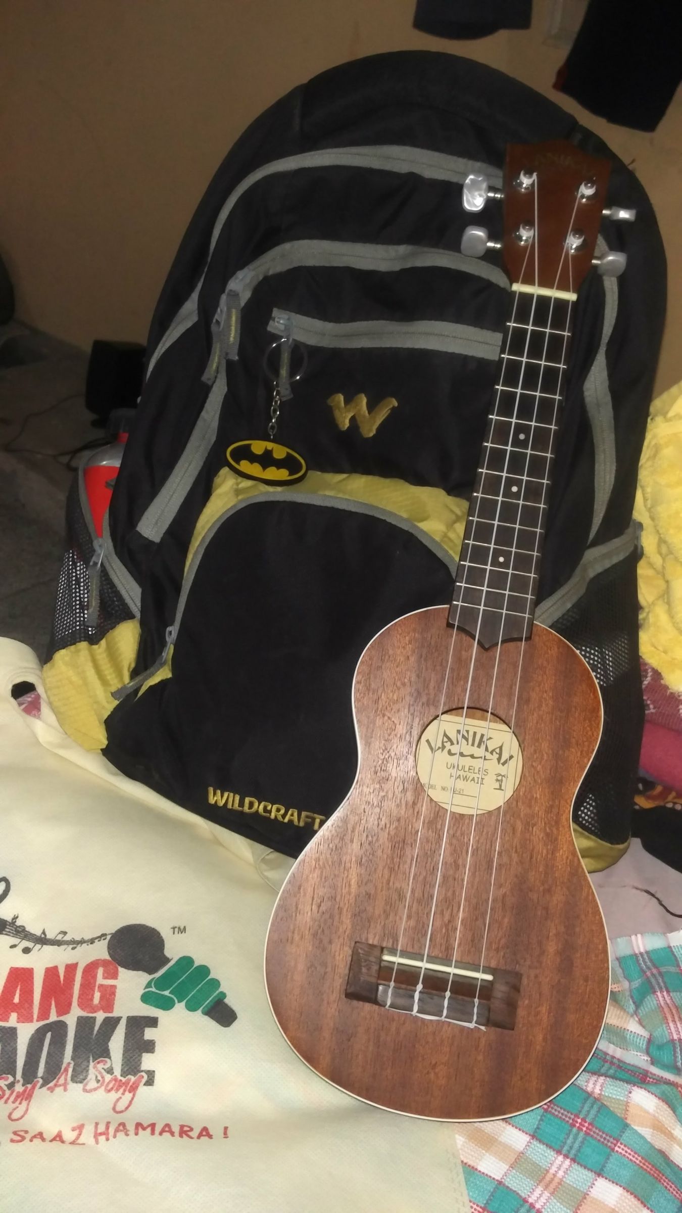 The Cardboard Ukulele Case : 10 Steps (with Pictures) - Instructables