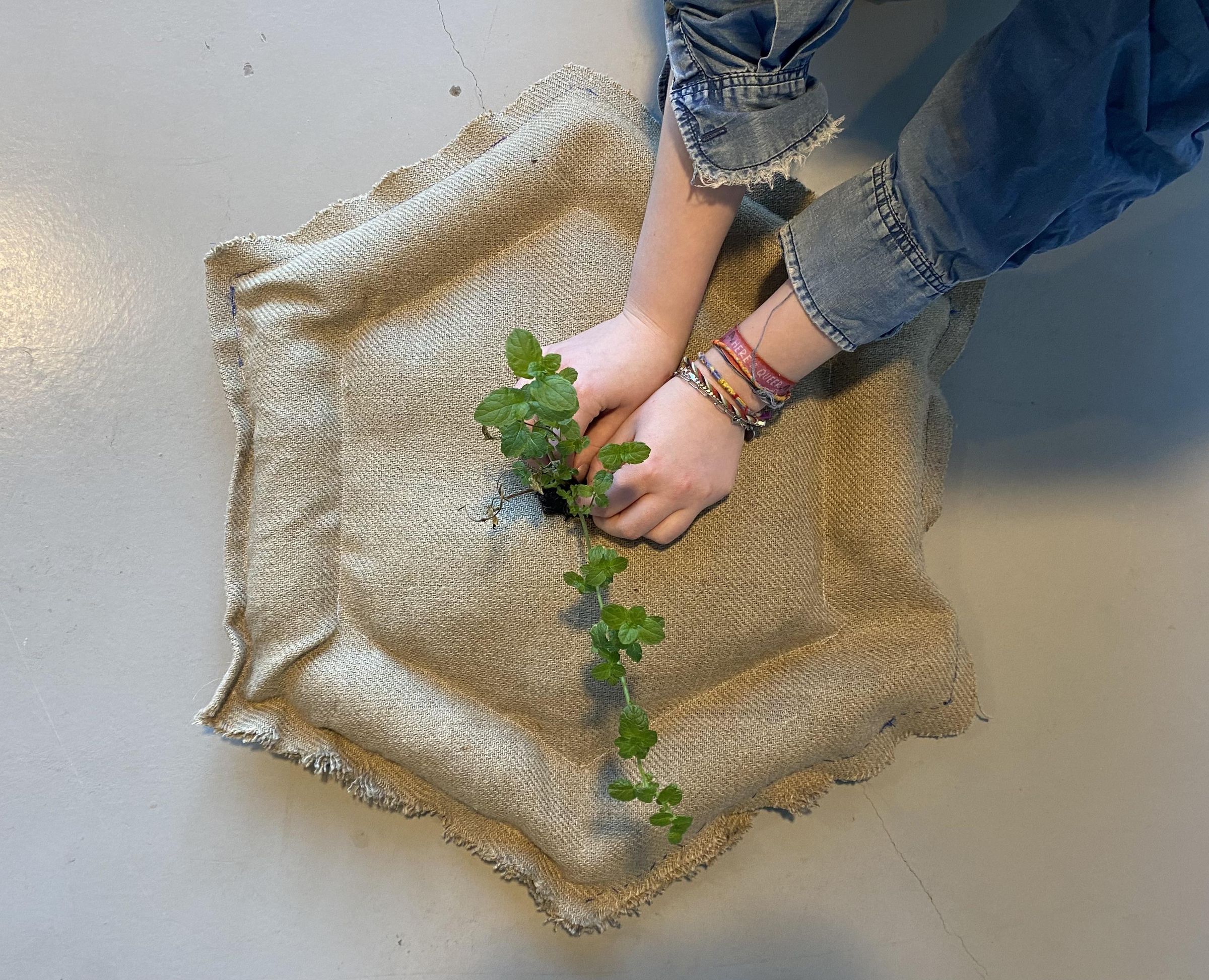 Phytodrift – Floating Treatment Garden : 7 Steps (with Pictures) - Instructables