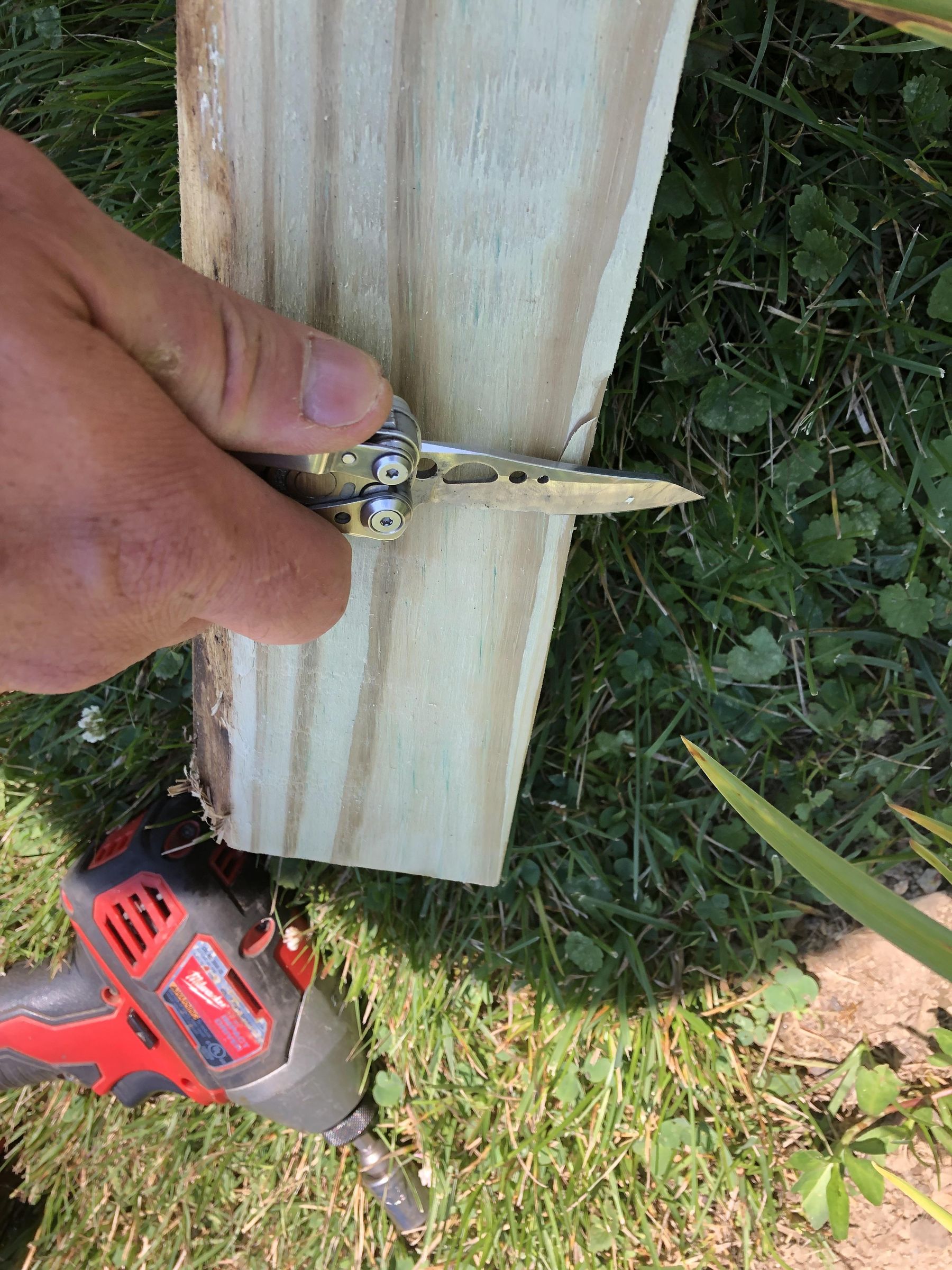 Library Story Stroll (Also Called Storywalk®) : 9 Steps (with Pictures ...