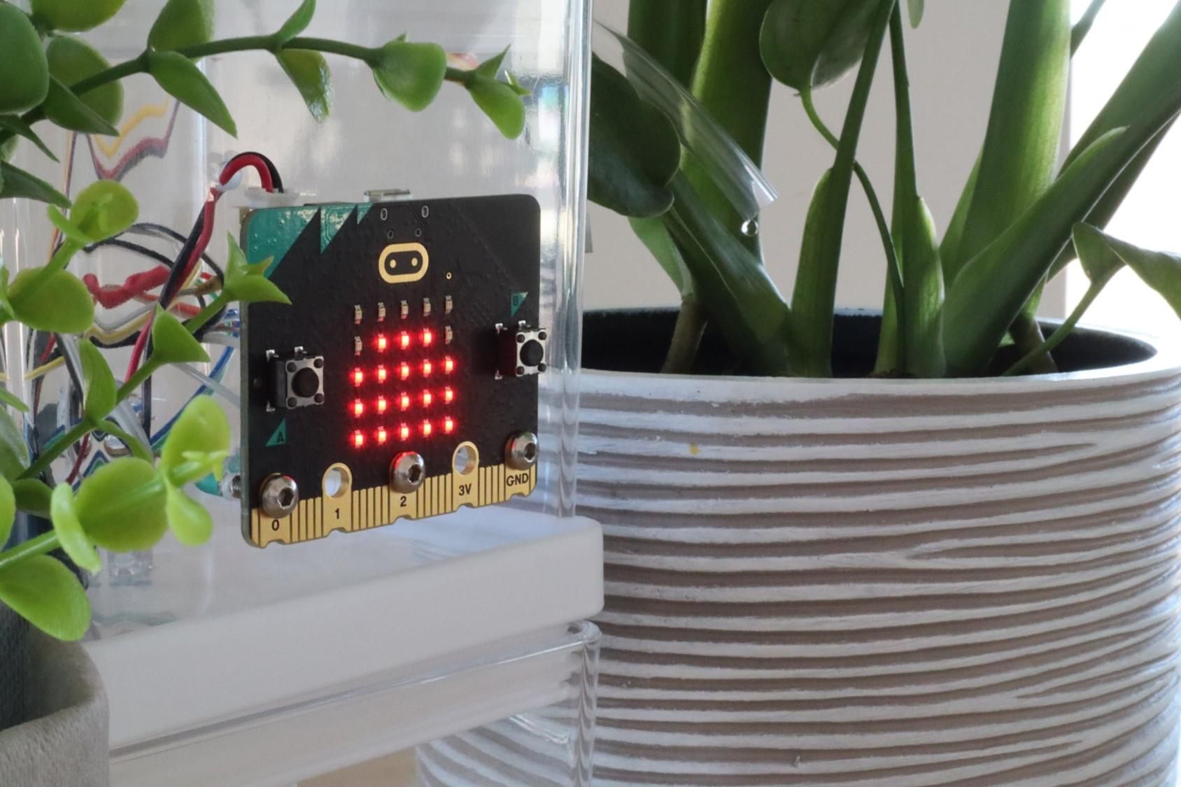 Automatic Plant Watering System Using a Micro:bit : 8 Steps (with ...