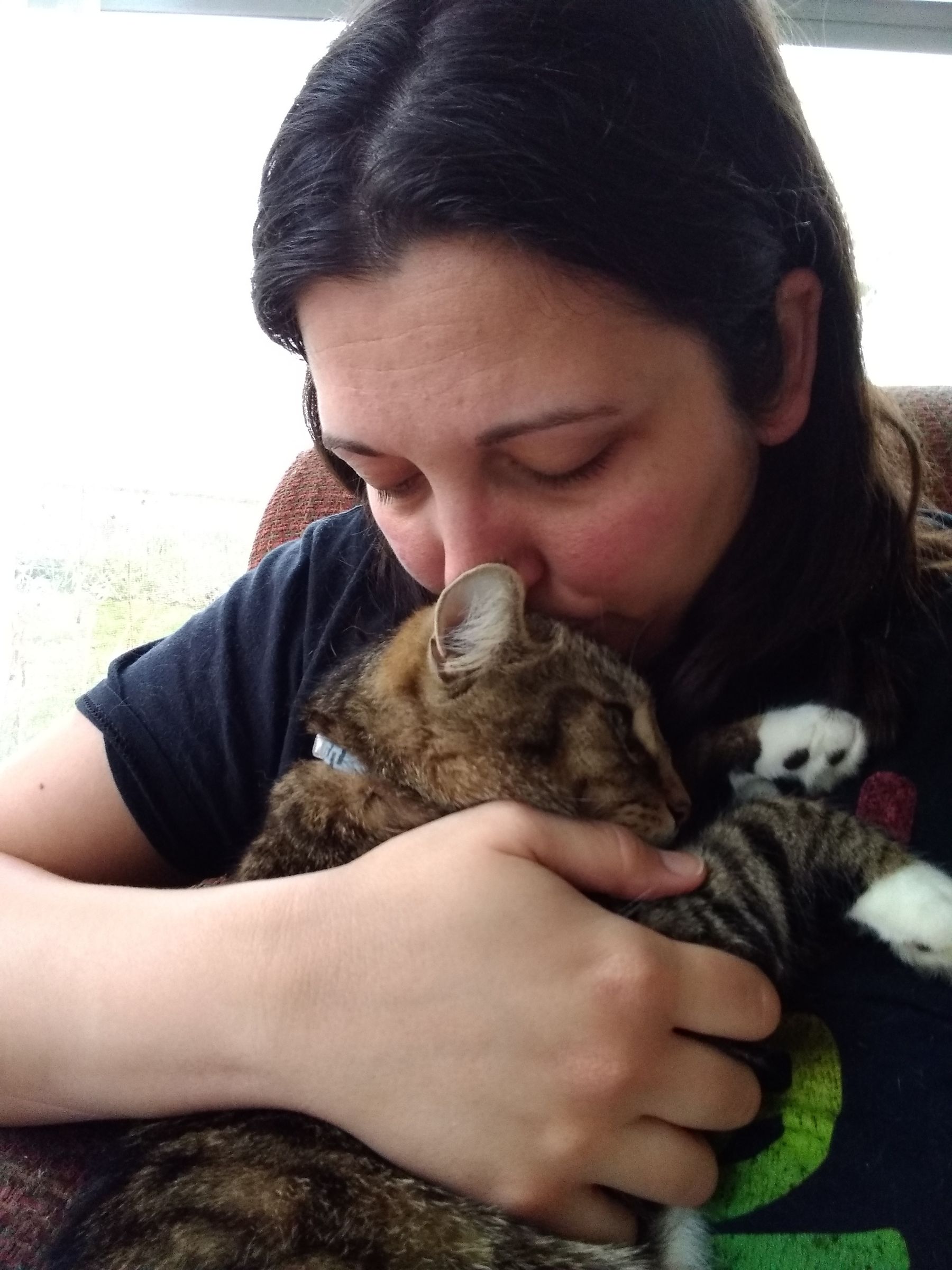 How To: Lull Your Cat to Sleep : 14 Steps (with Pictures) - Instructables