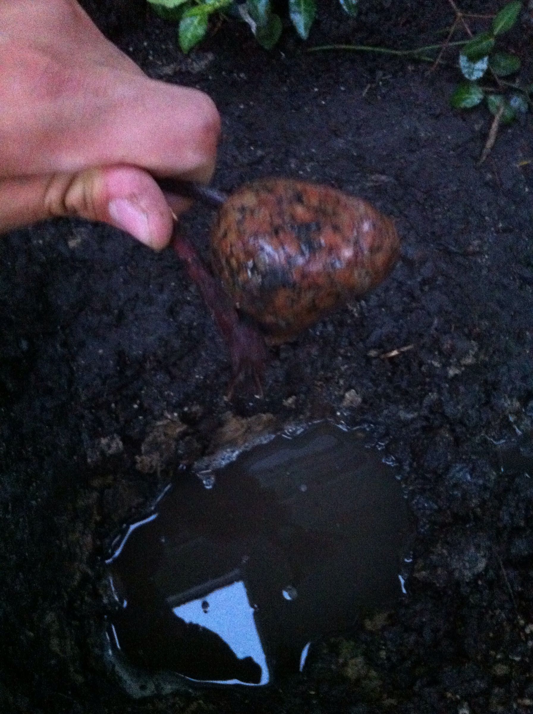 A Survival Water Filter : 5 Steps (with Pictures) - Instructables