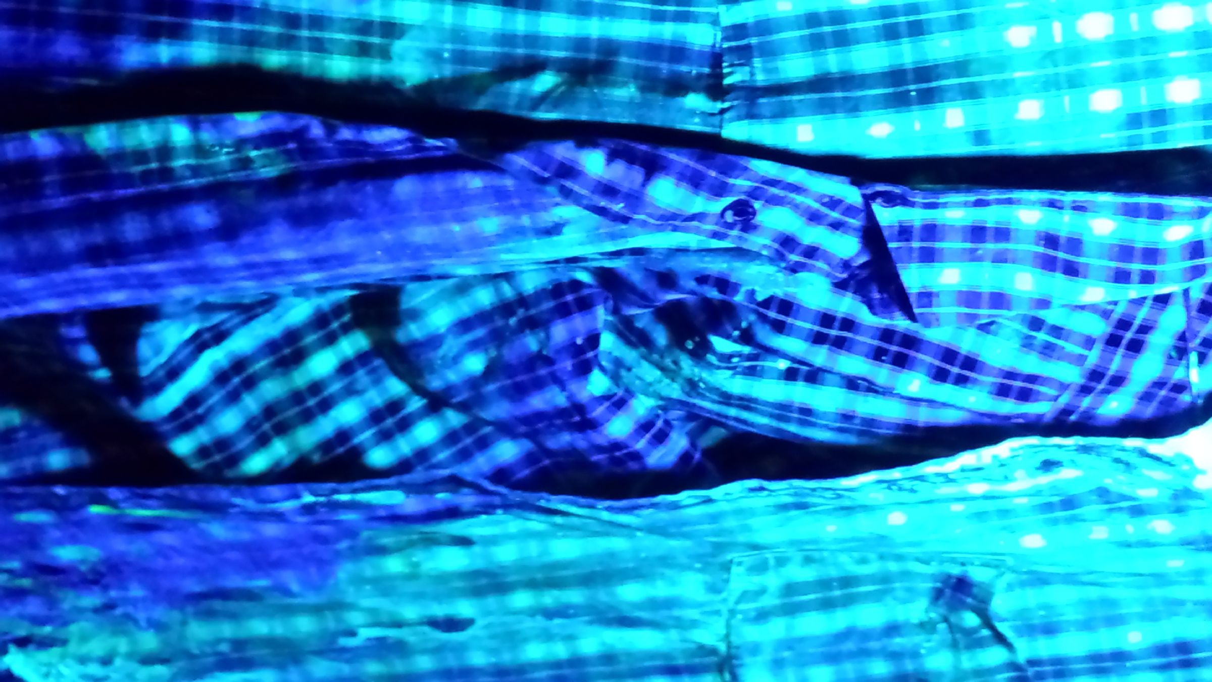 Making Waterproof UV Clothes and Pigment Clothes. a How to Do ...
