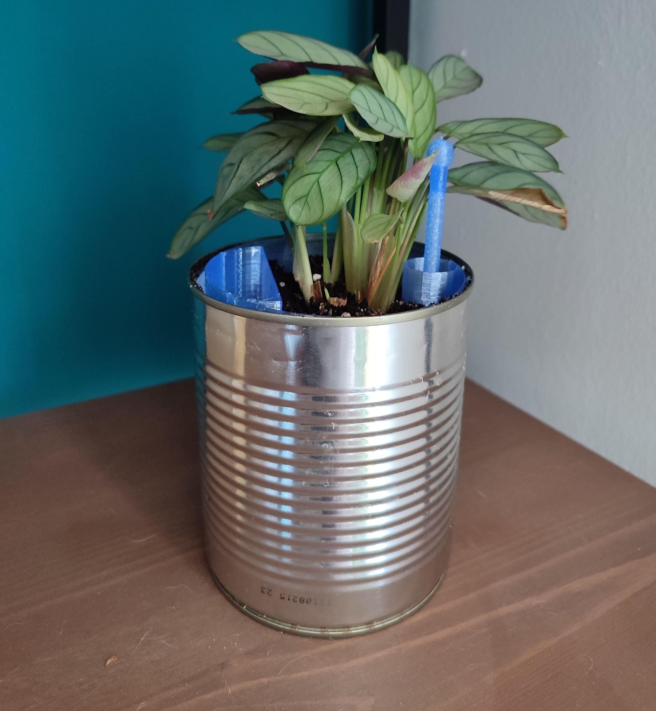 Self-Watering Pot With Water Level Indicator (With a Food Can) : 8 ...