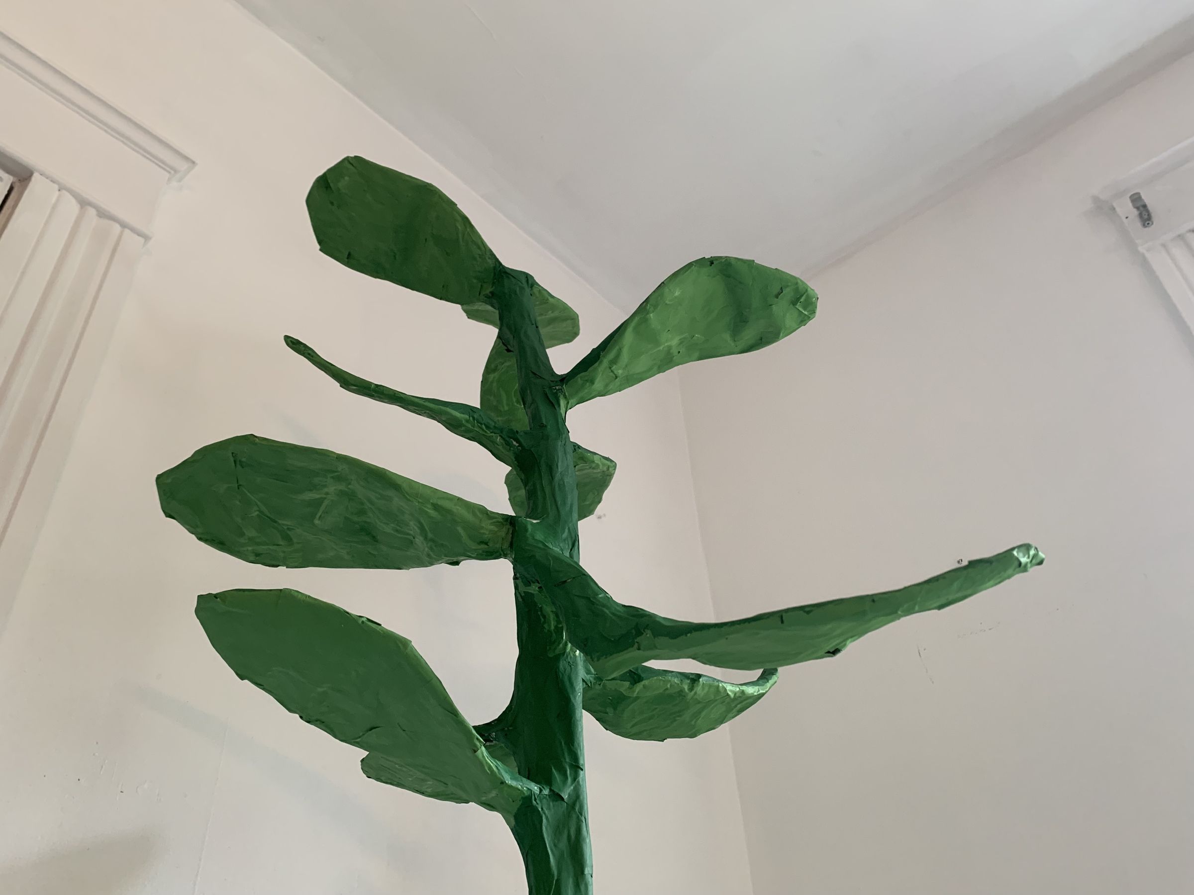 Supersized Paper-Mache House Plant : 8 Steps (with Pictures ...