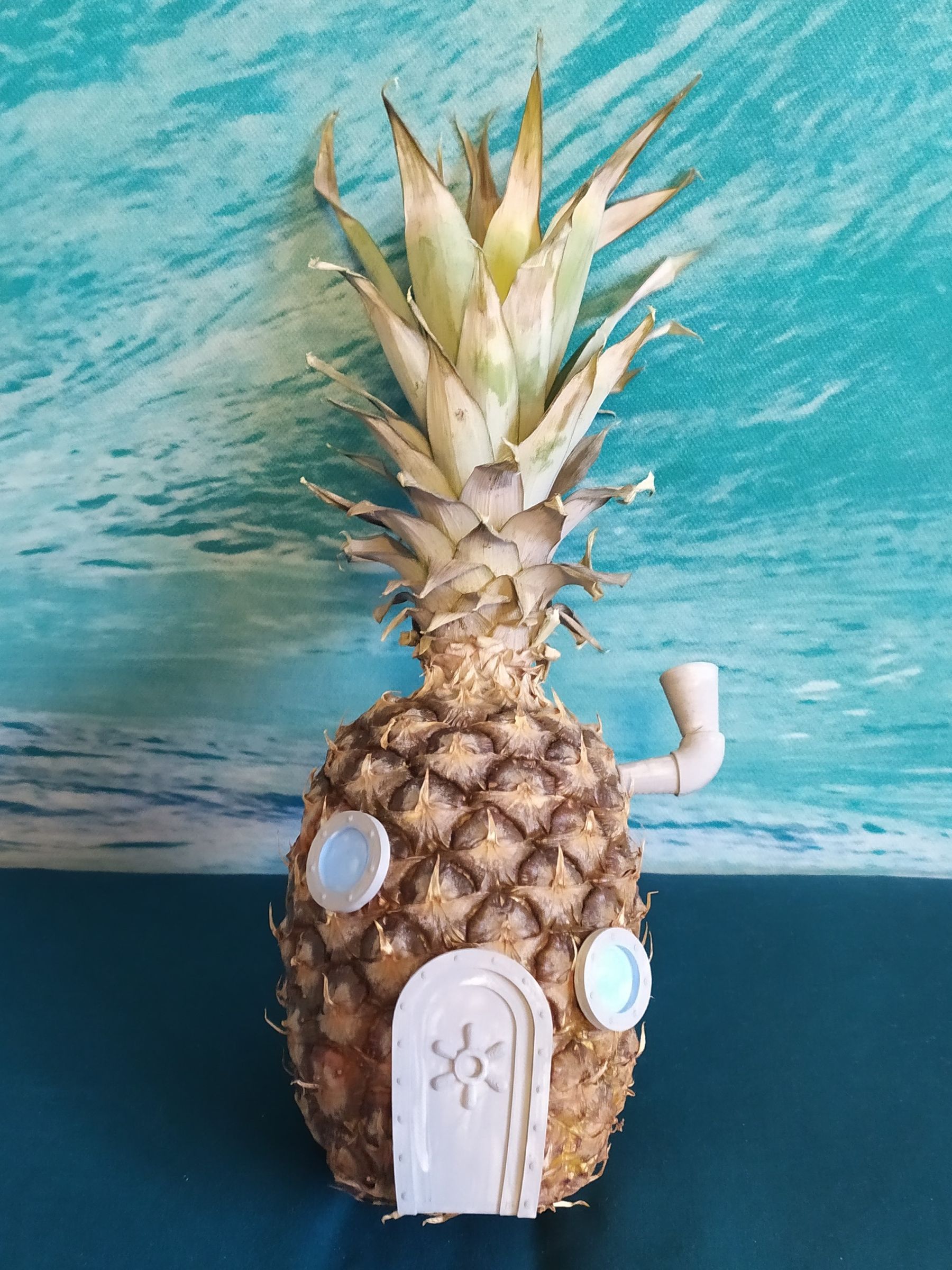 Who Lives in a Pineapple Under the Sea? - Miniature : 6 Steps (with ...