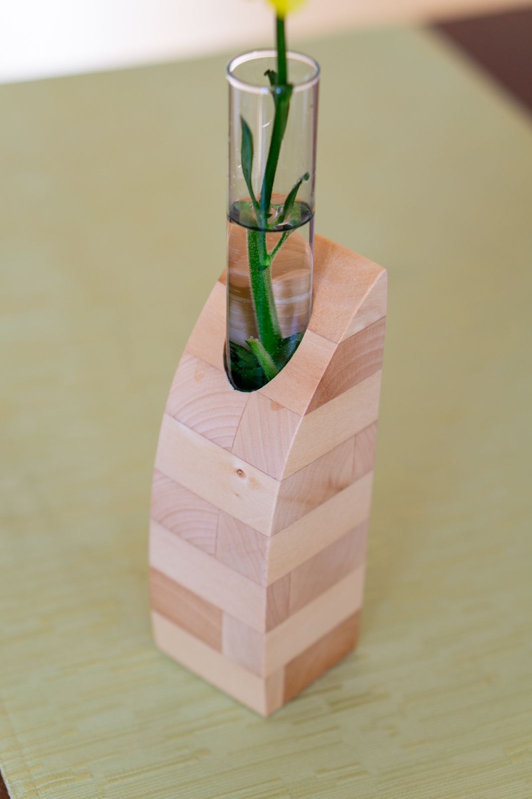 Test Tube Vase : 10 Steps (with Pictures) - Instructables