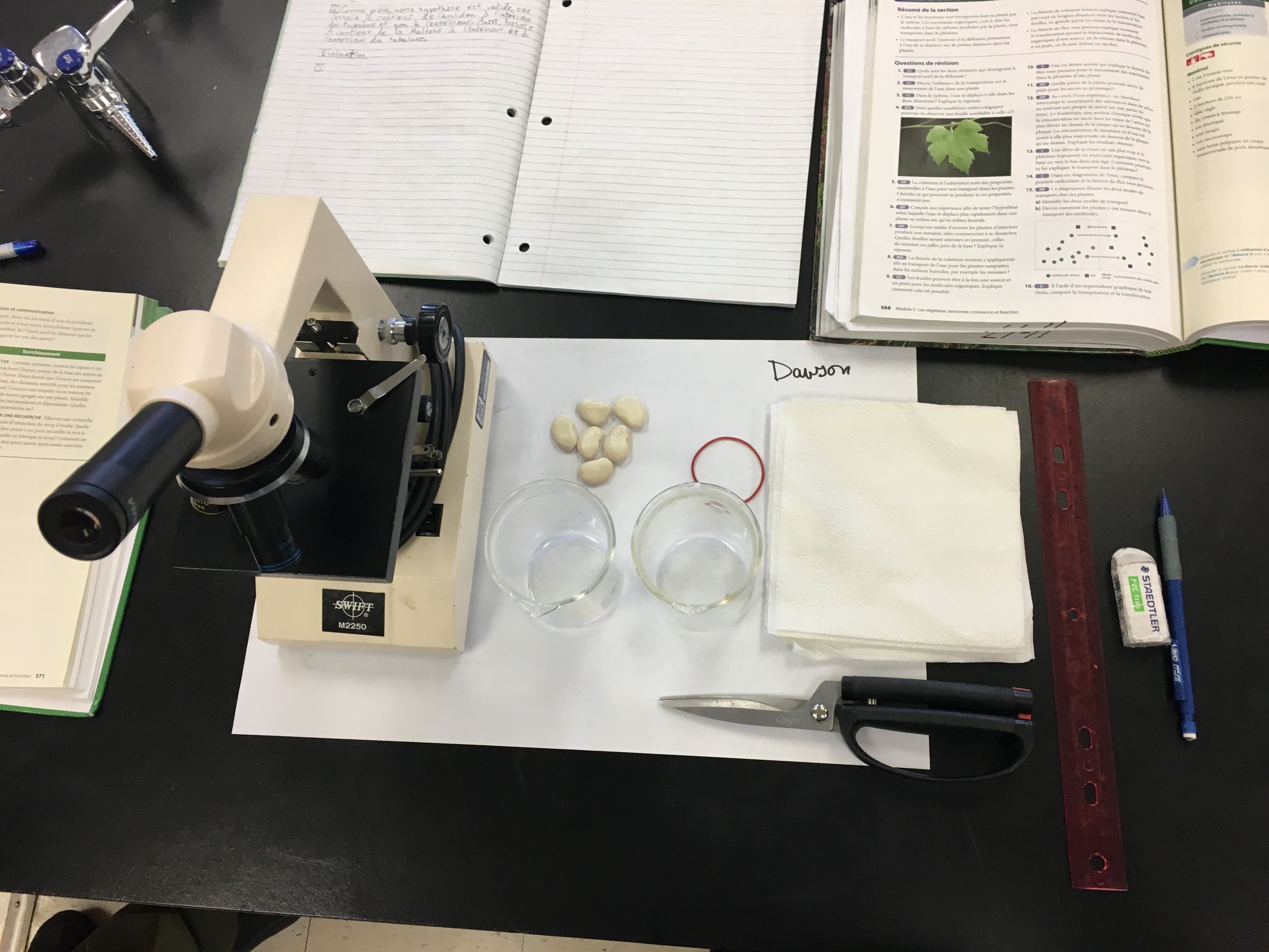 Les Racines Et Les Poils Absorbantes : 7 Steps - Instructables