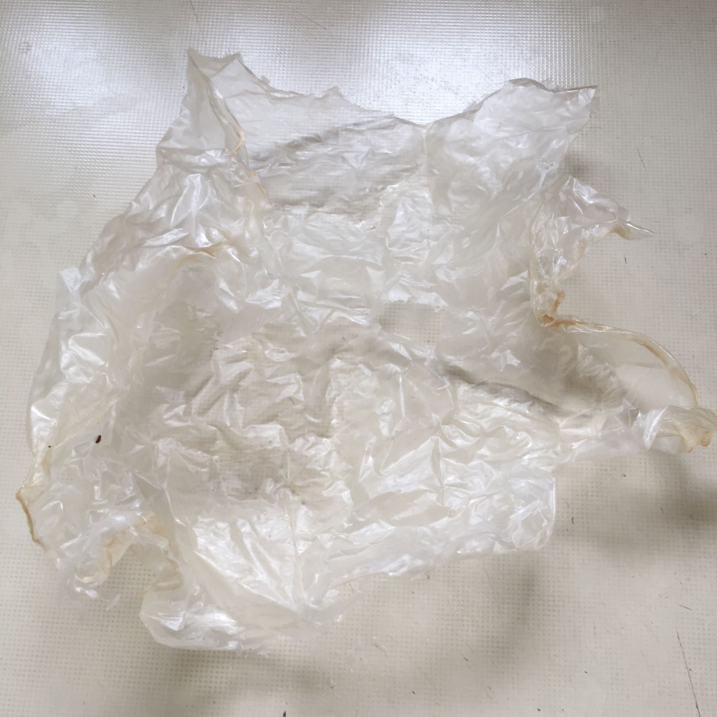 Edible Plastic Pouches : 5 Steps (with Pictures) - Instructables