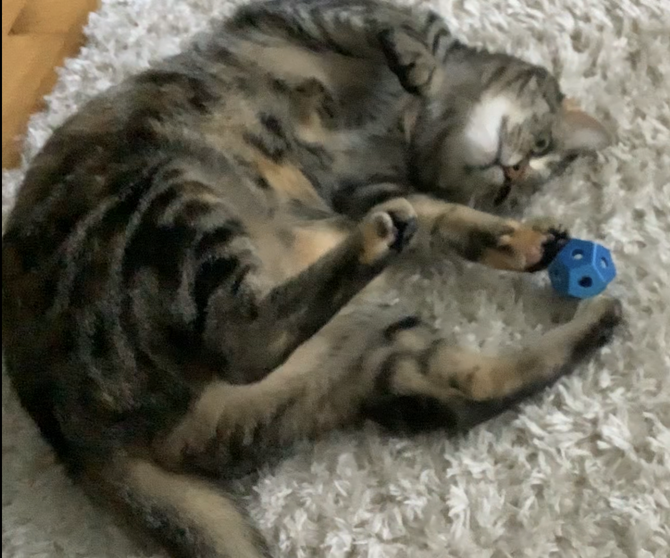 3D Print Cat Toy : 13 Steps (with Pictures) - Instructables