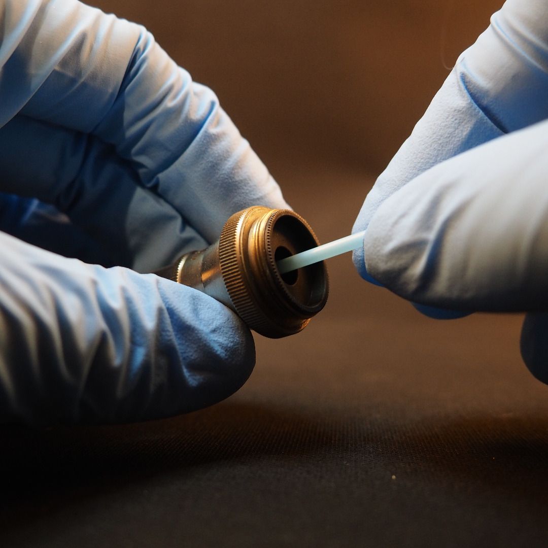 Revive an Old Microscope: Proper Cleaning, New Light Source (with ...