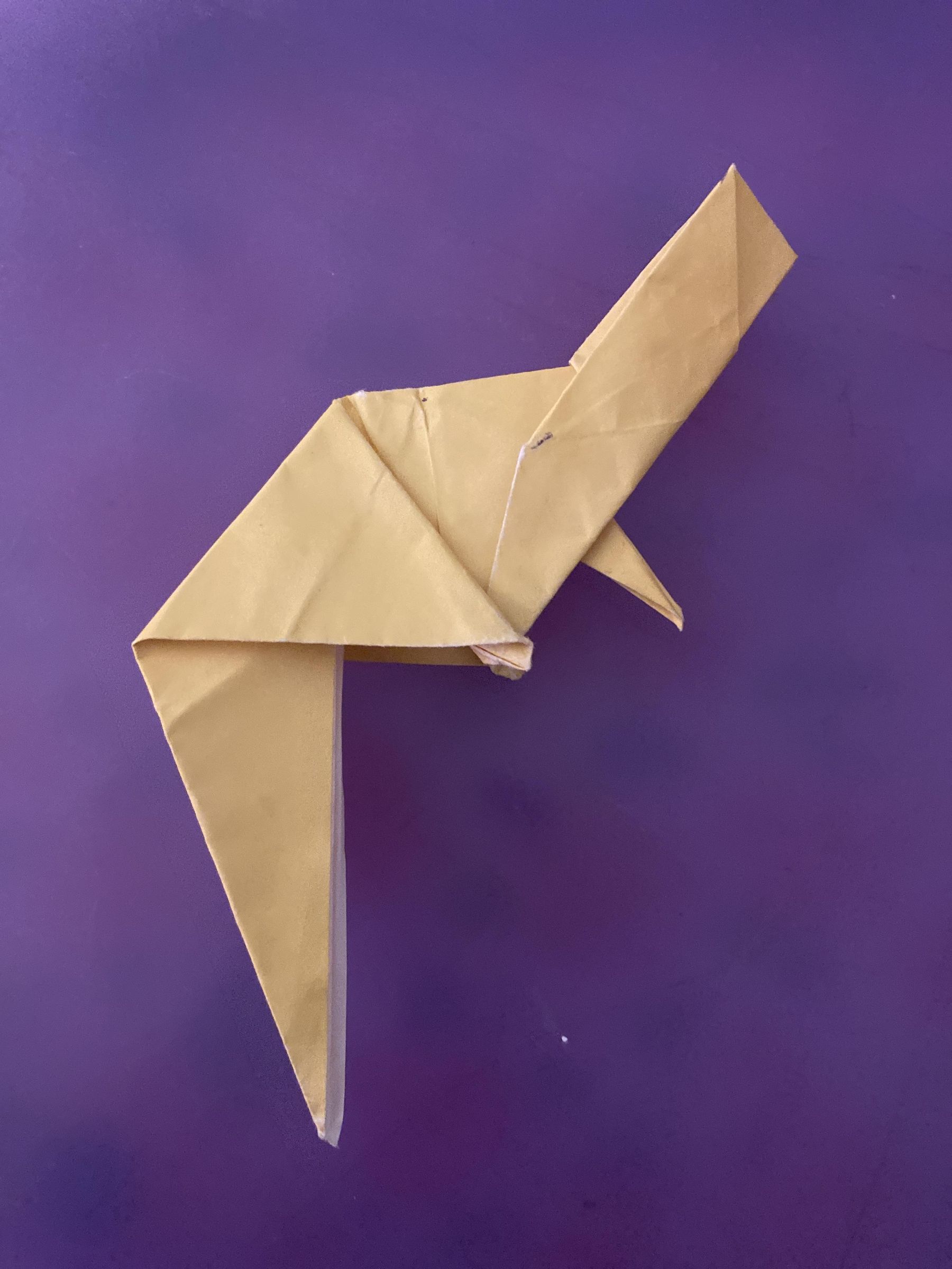 Origami Rat : 27 Steps - Instructables