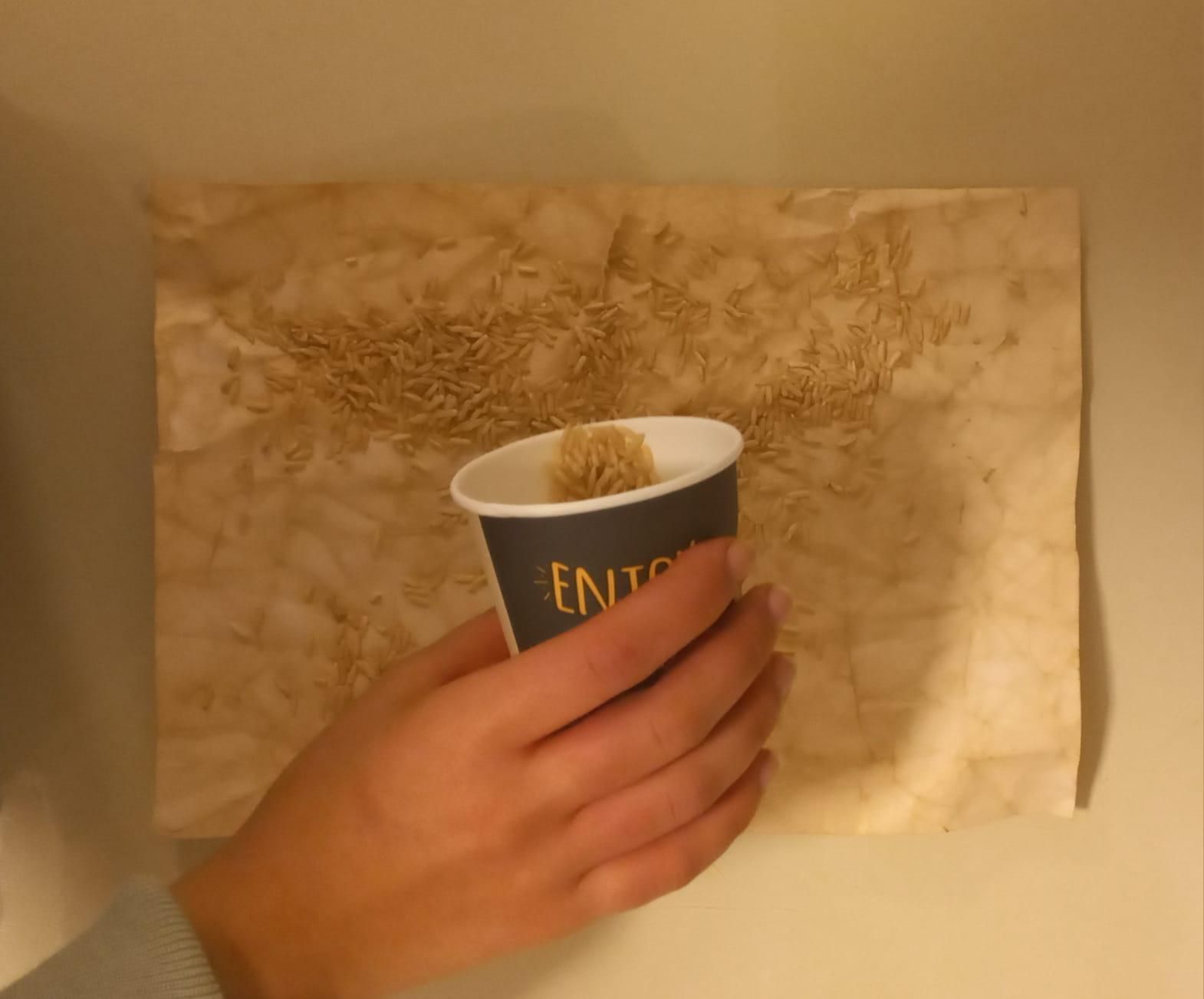 Paper Parchment - Antique Map : 9 Steps - Instructables