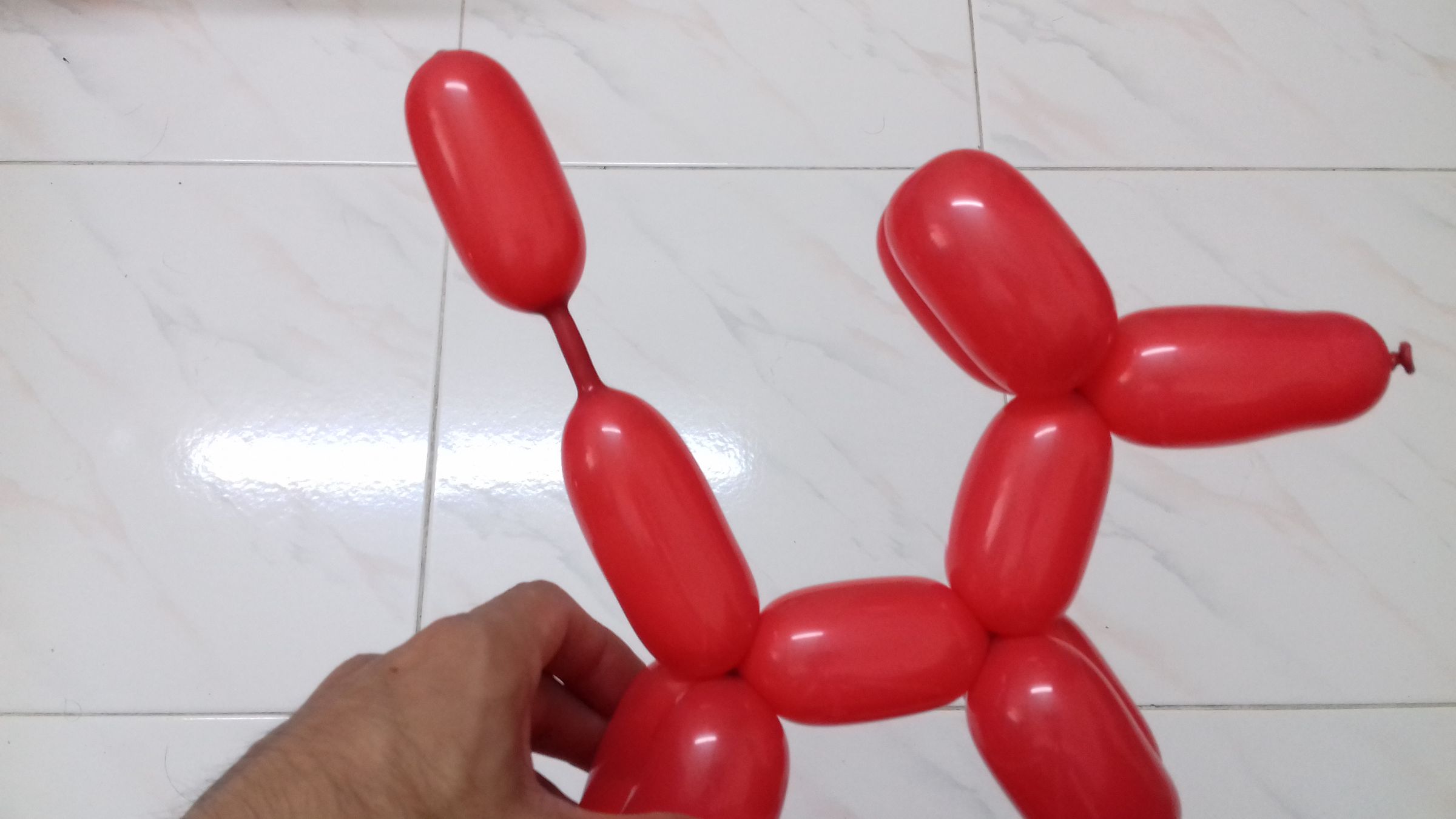 Balloon Twisting- Dog : 7 Steps (with Pictures) - Instructables