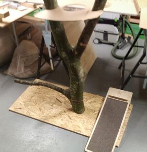 Natural Cat Tree : 7 Steps - Instructables