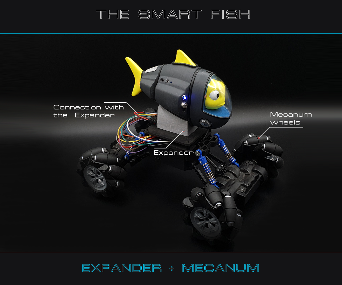 The Smart Fish. Programmable Robot : 21 Steps (with Pictures ...
