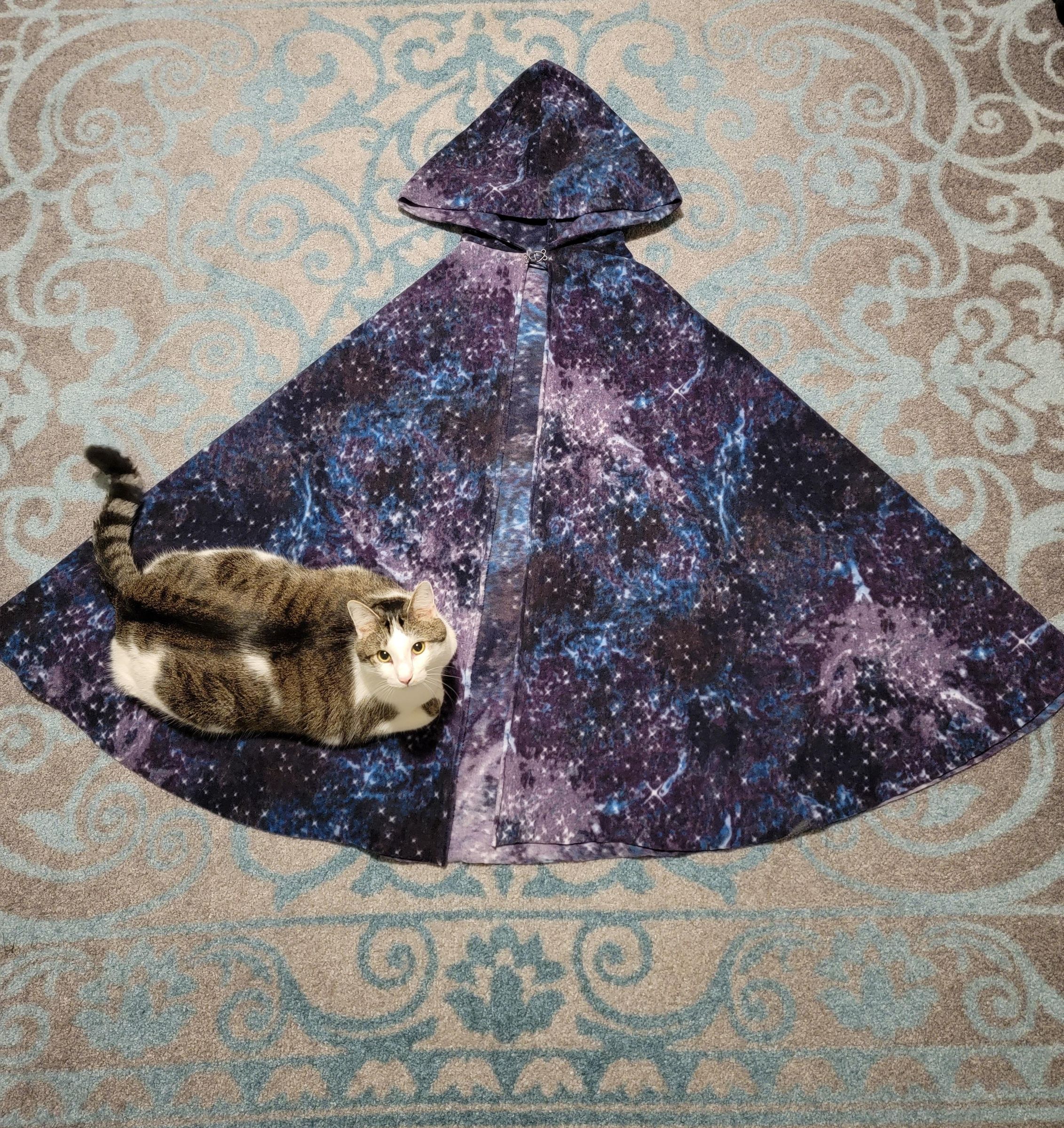 An Easy Costume Cloak : 3 Steps (with Pictures) - Instructables