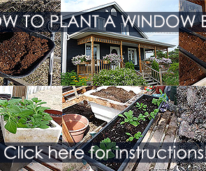How to Plant a Window Box : 3 Steps - Instructables