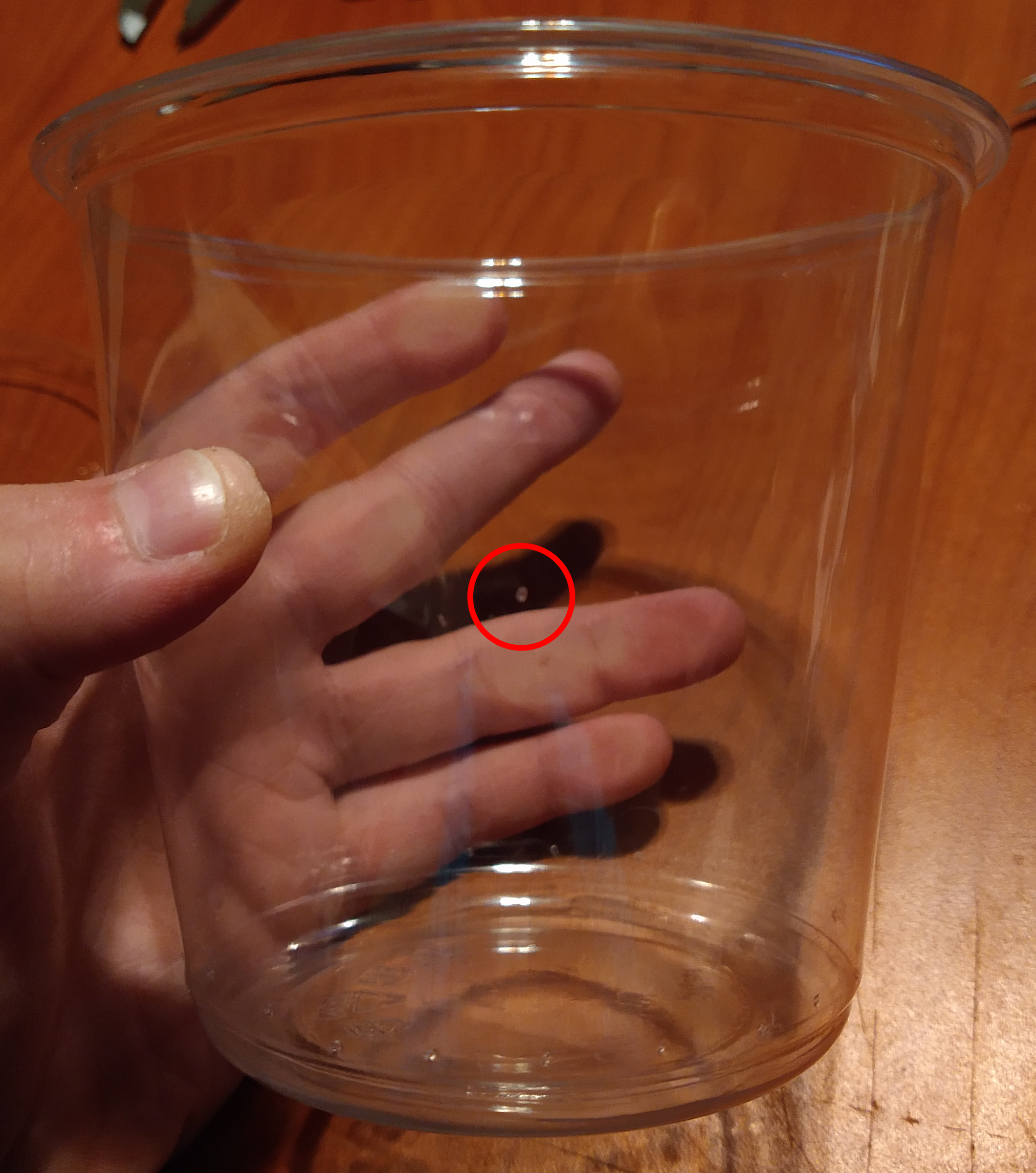 Perfect Praying Mantis Cups : 9 Steps (with Pictures) - Instructables