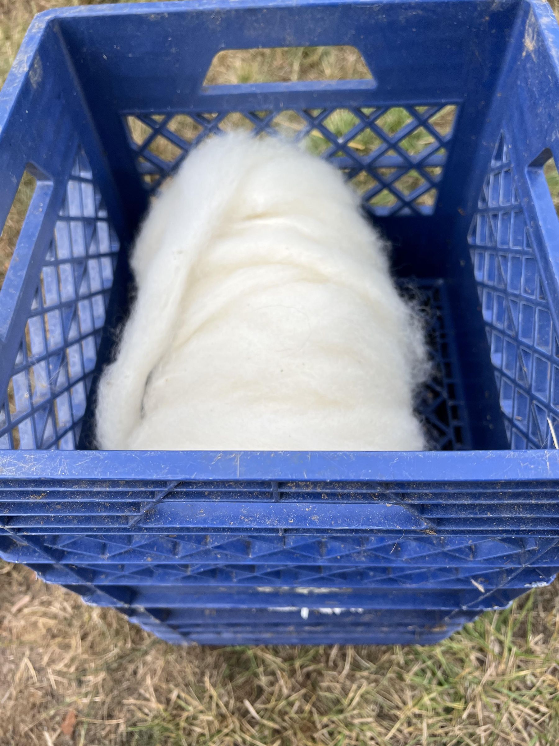 Spinning Wool Fiber : 5 Steps (with Pictures) - Instructables