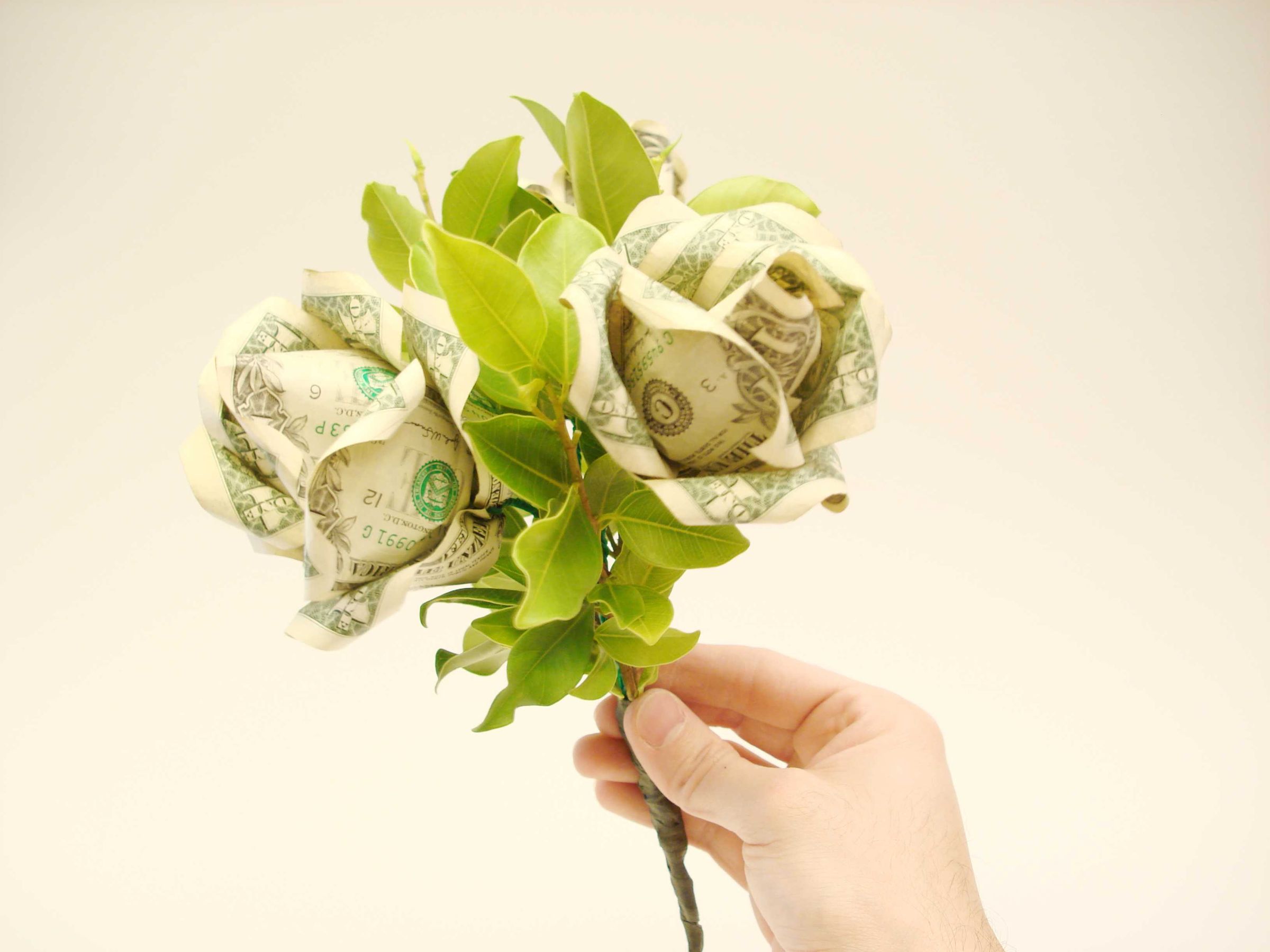 How To Make A Money Rose