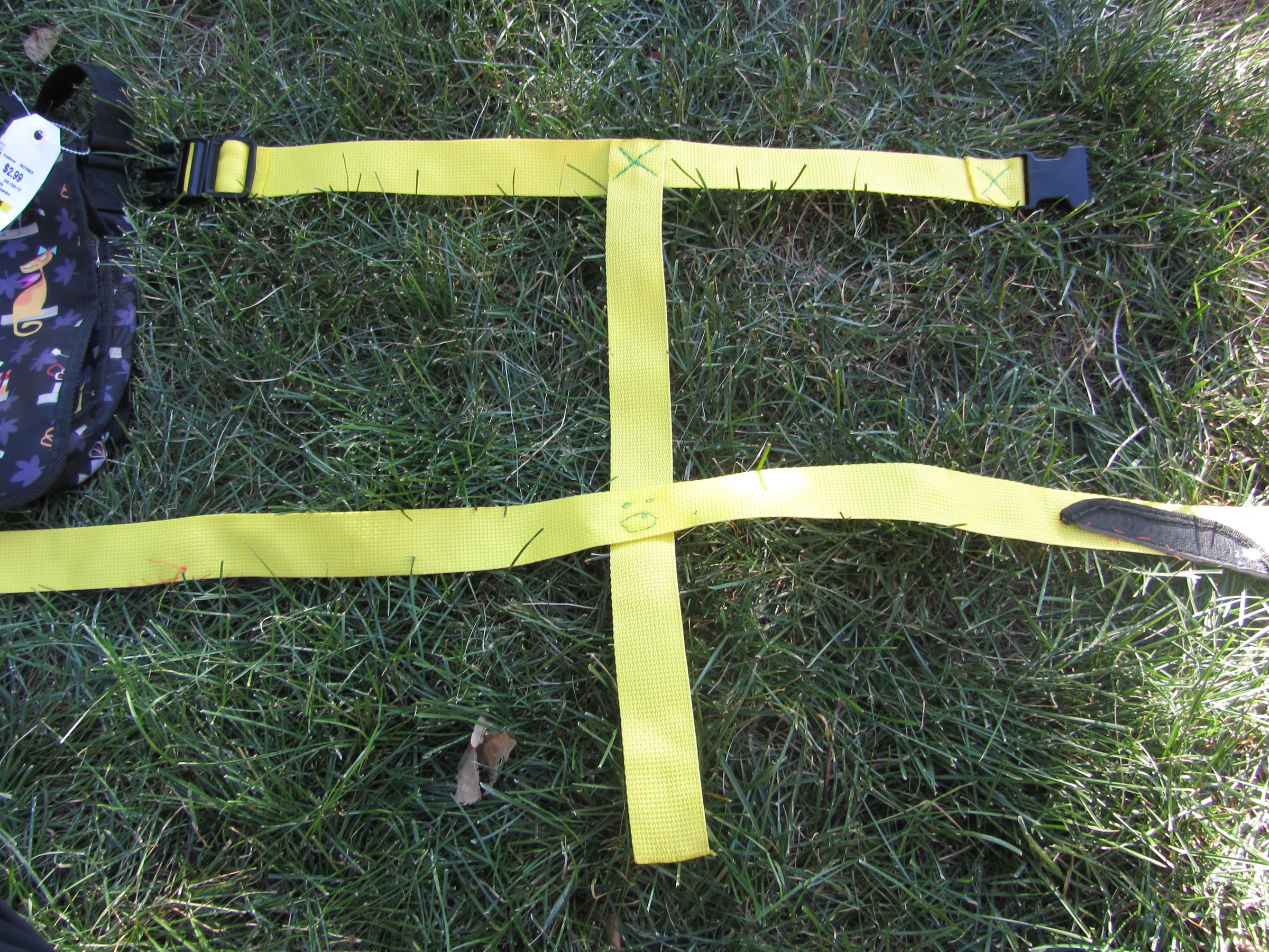 $10 Dog Backpack : 4 Steps (with Pictures) - Instructables