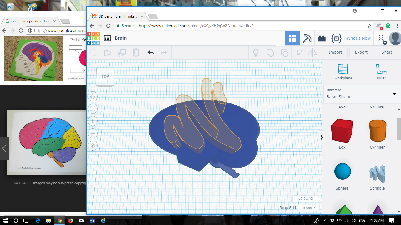 3D Brain Puzzle and Tinkercad Cutting : 28 Steps - Instructables
