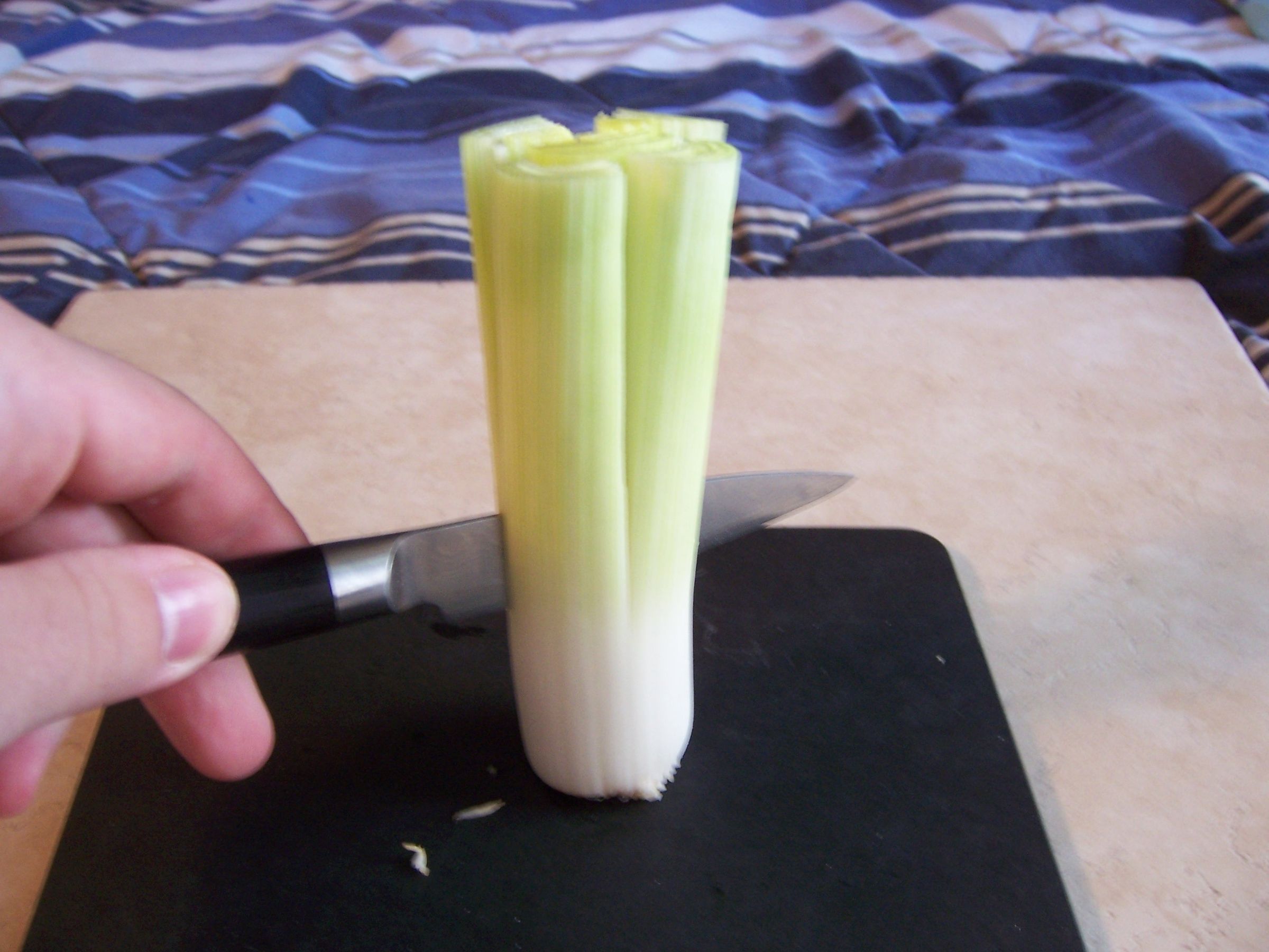 Easy Leek Flower/ Ribbon for Garnish : 9 Steps (with Pictures ...
