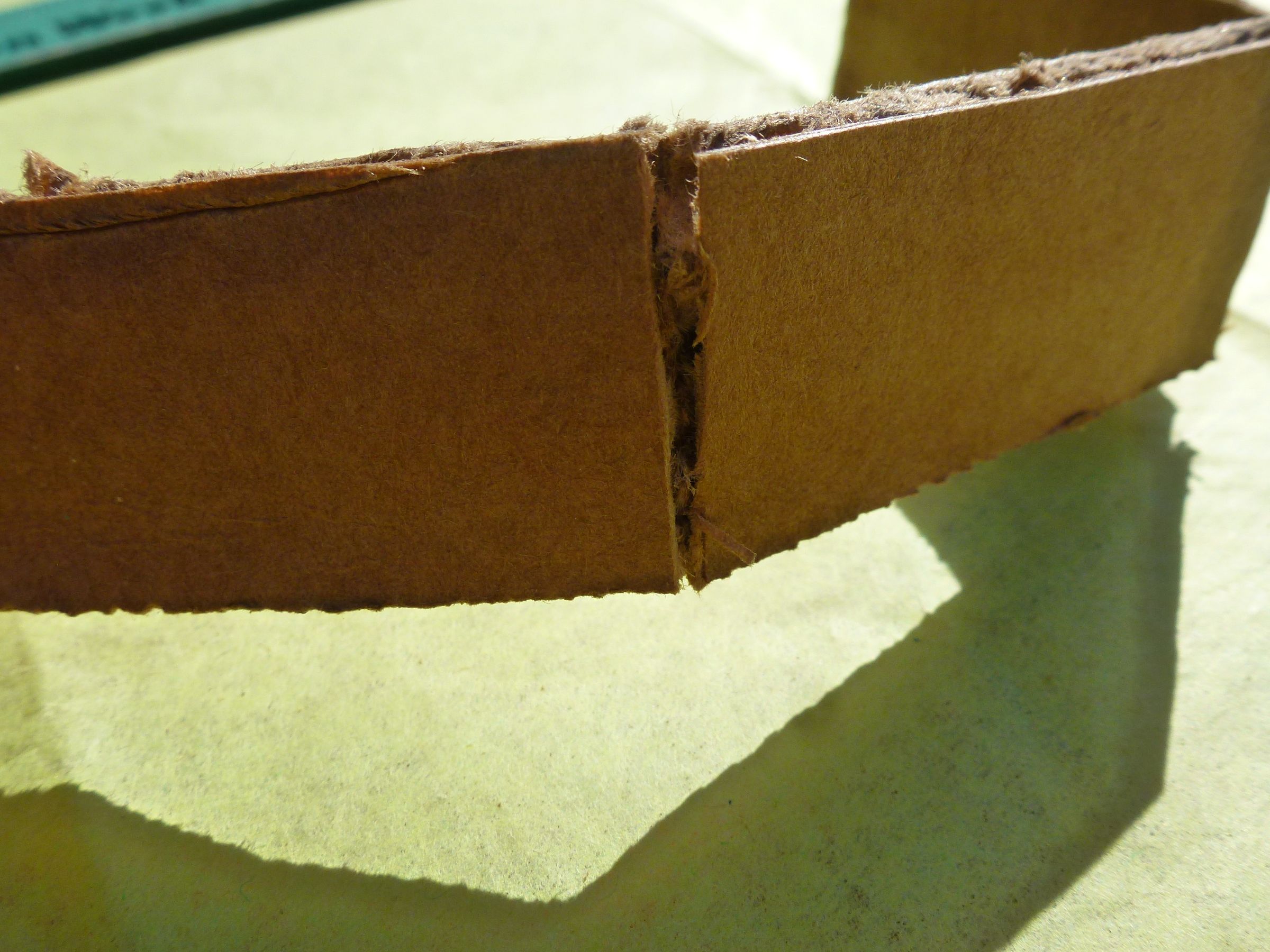 Cardboard Dog Collar - Instructables