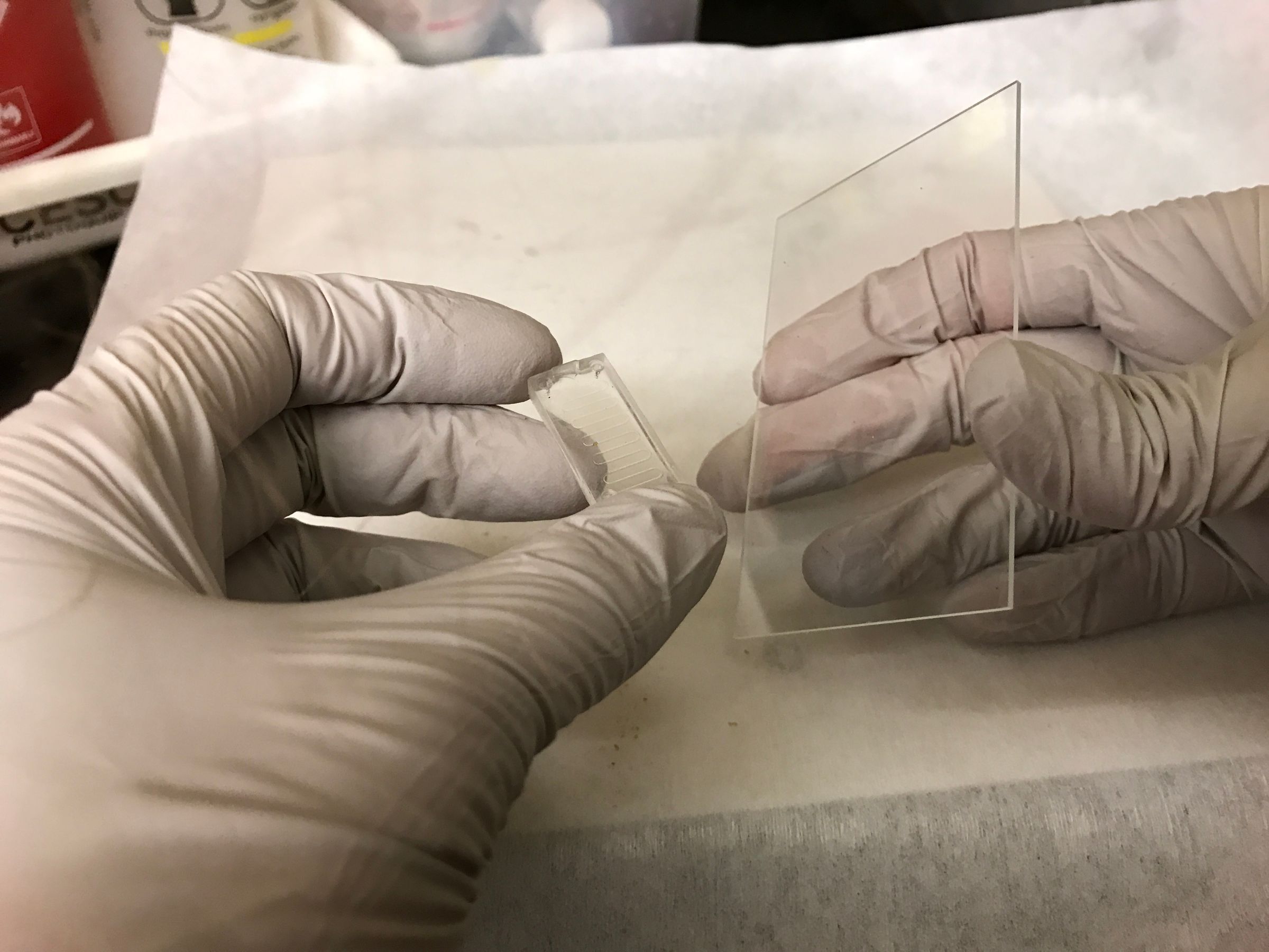 Making a PDMS Microfluidic Device With Maskless Molds : 7 Steps (with ...