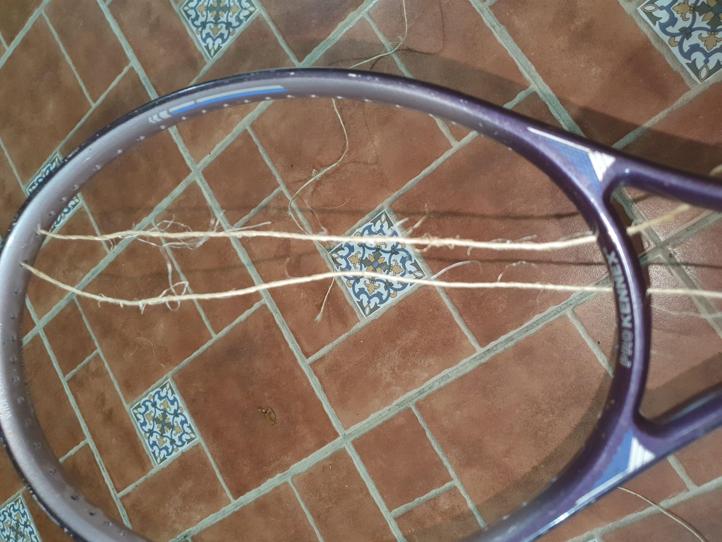 Recycled Tennis Racket Fishing Net : 6 Steps (with Pictures ...