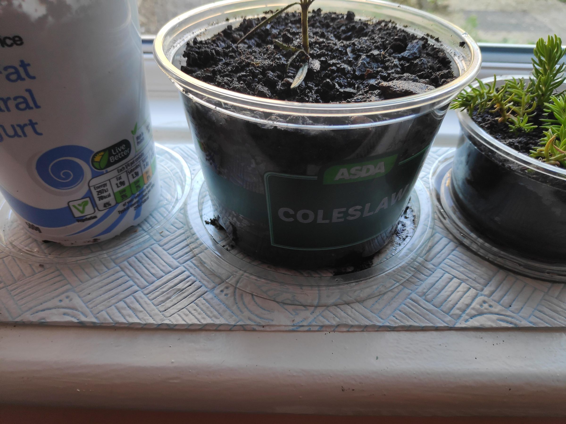 Free Plant Pots From Recycled Plastic Food Containers : 4 Steps ...