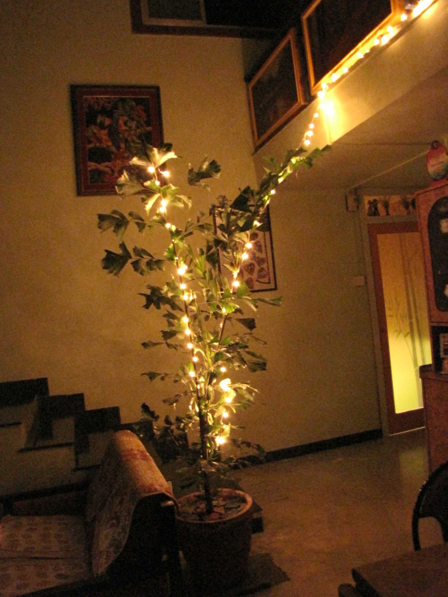 Diwali Tree - Instructables