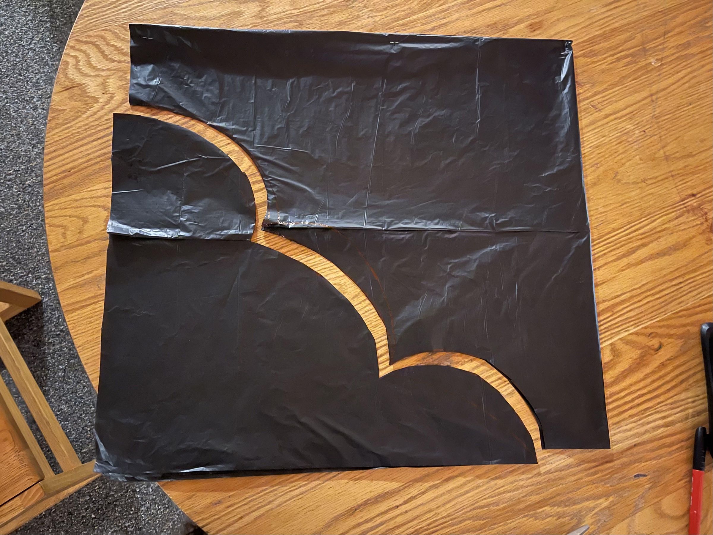 Diy Bat Wings