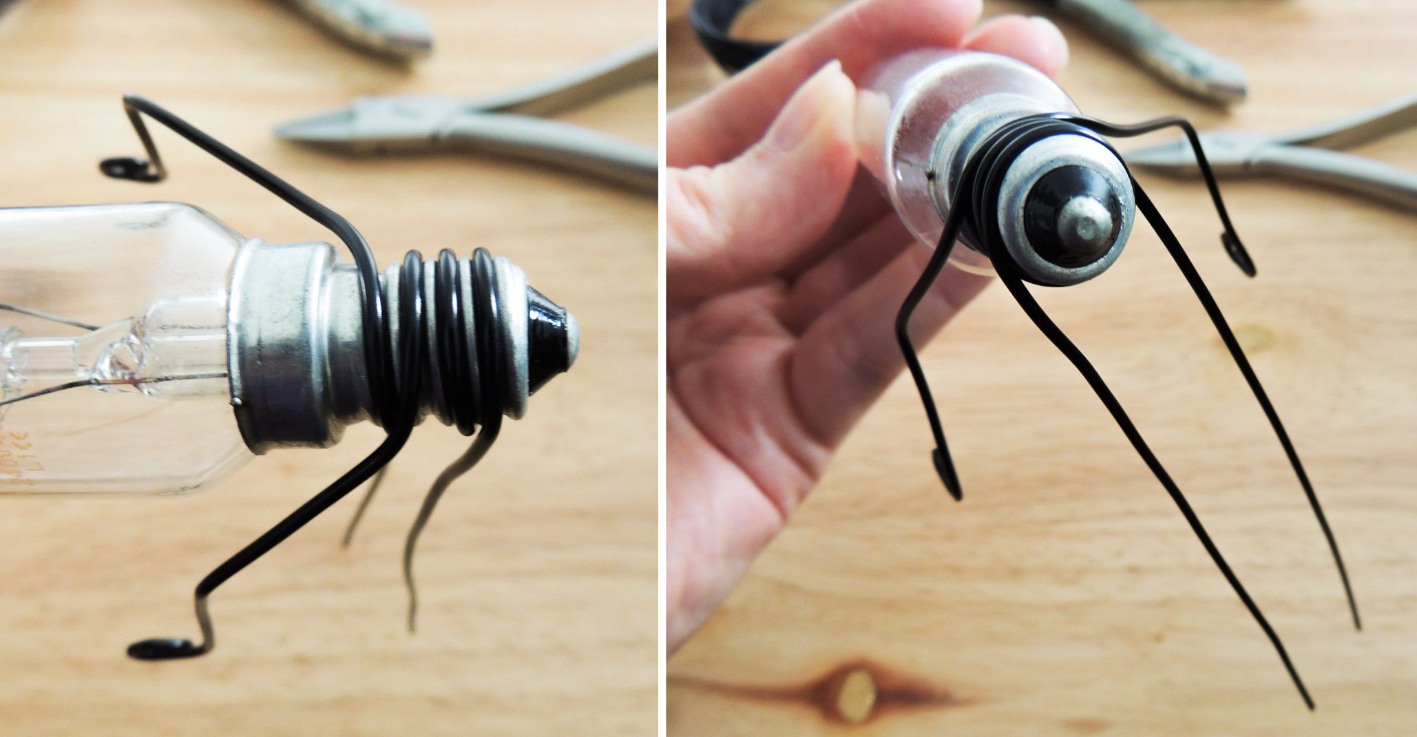 DIY Light Bulb Bugs : 6 Steps (with Pictures) - Instructables