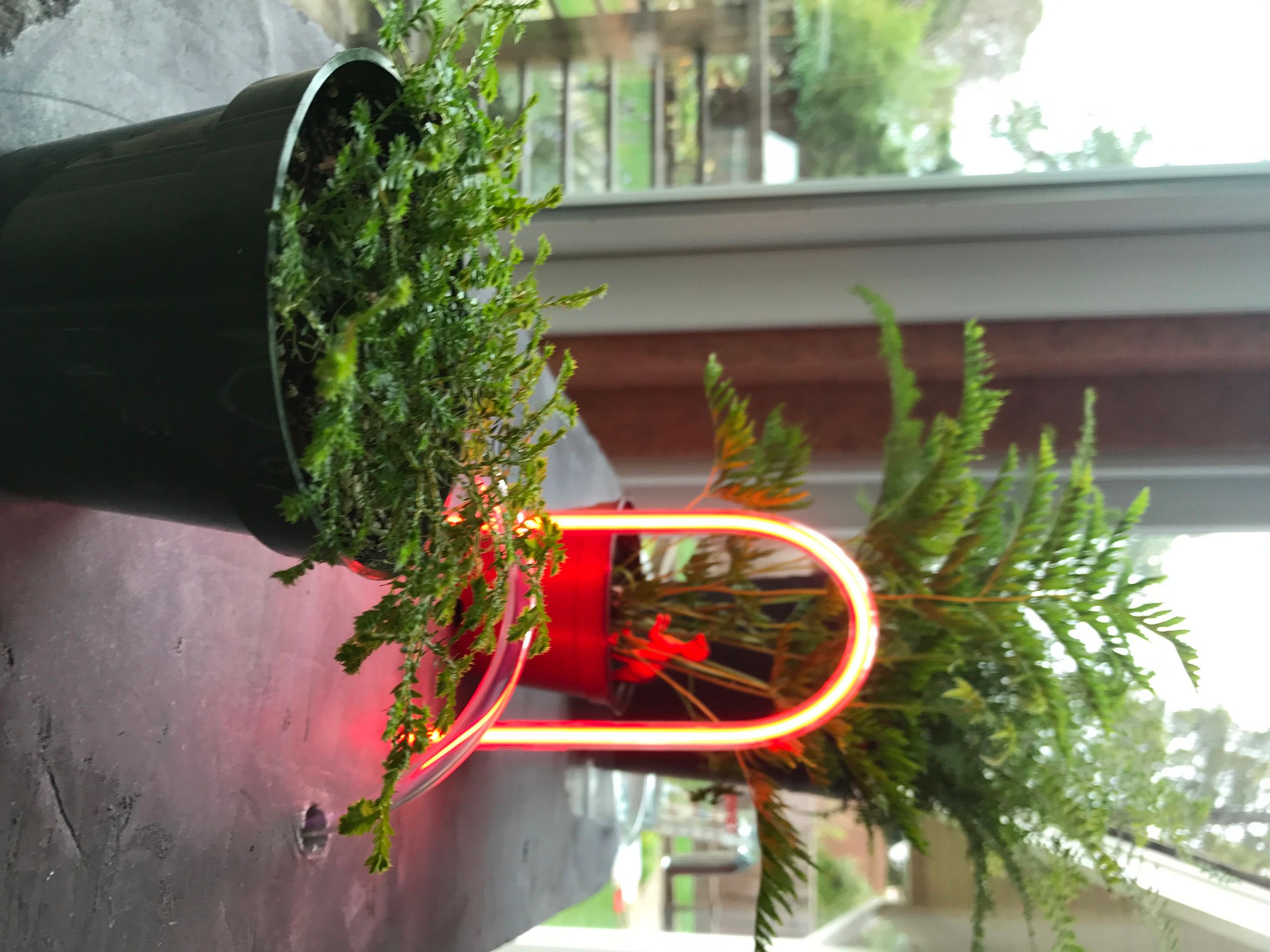 Touch-Sensitive Concrete & Neon Table : 7 Steps (with Pictures ...