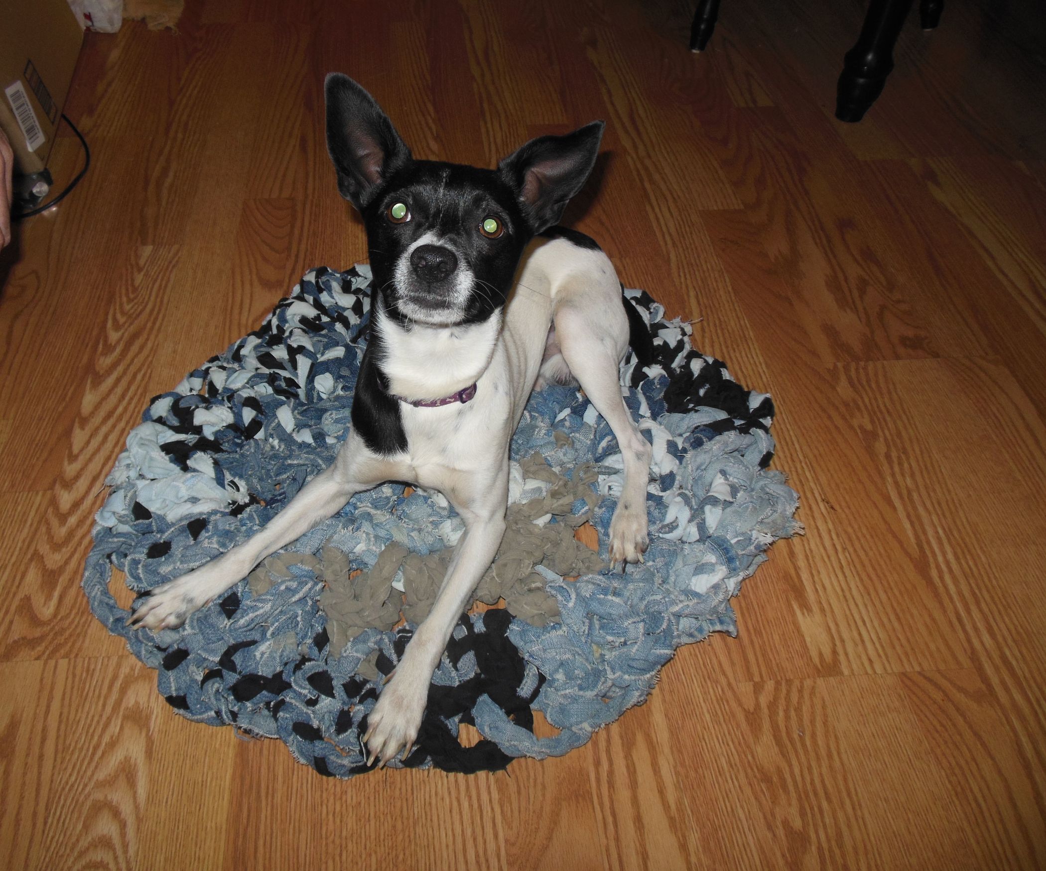 Crocheted Braided Rug : 8 Steps (with Pictures) - Instructables