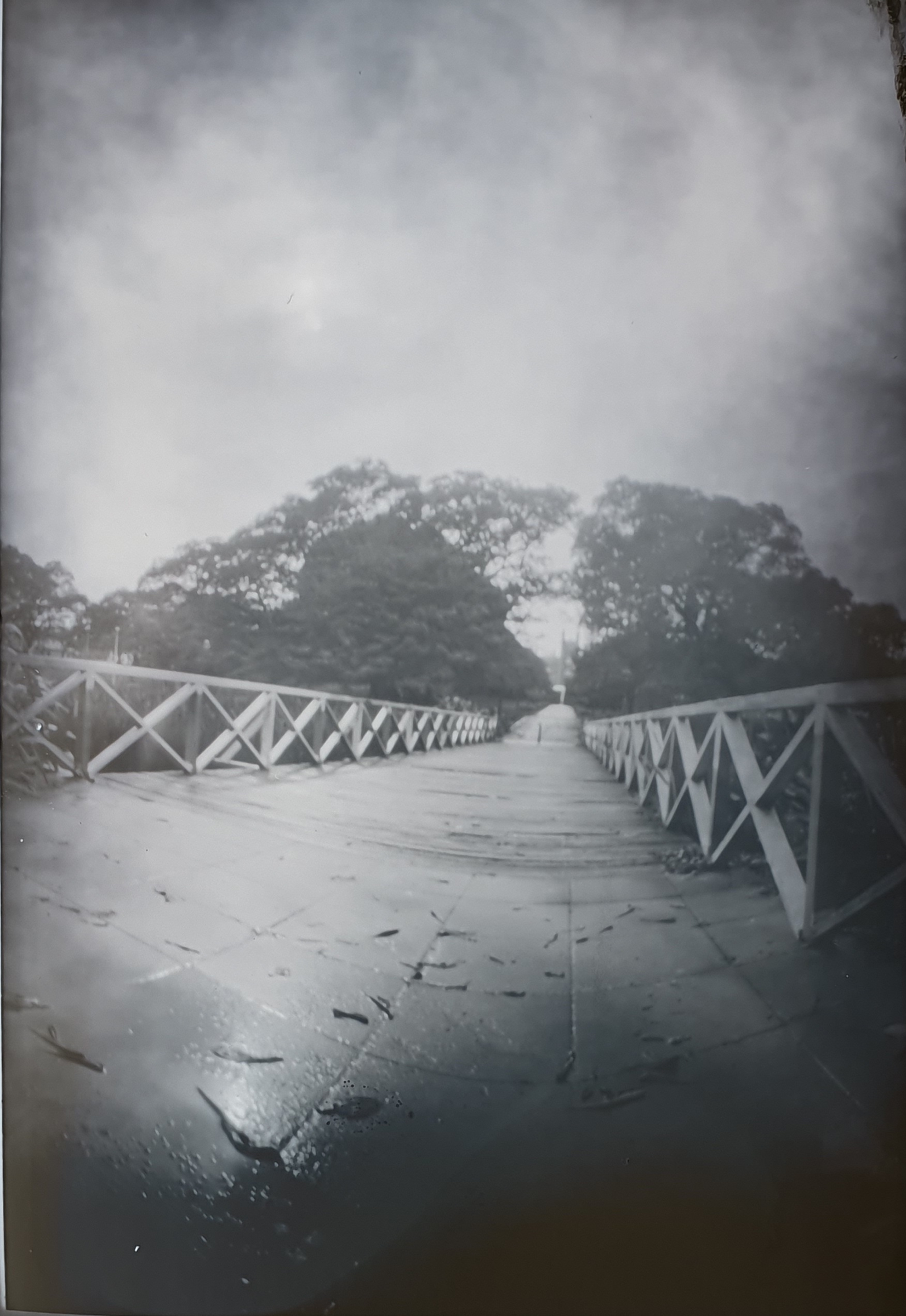 Beer Can Pinhole Camera Photography : 10 Steps (with Pictures ...