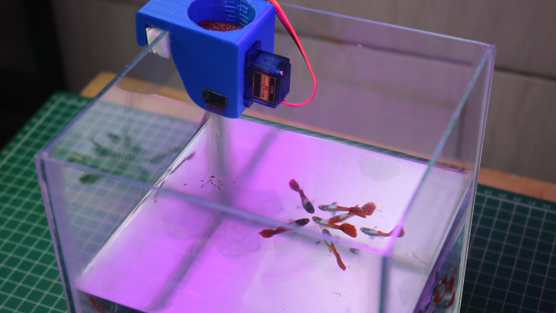 Automatic Fish Feeder Using Arduino Nano : 8 Steps (with Pictures ...