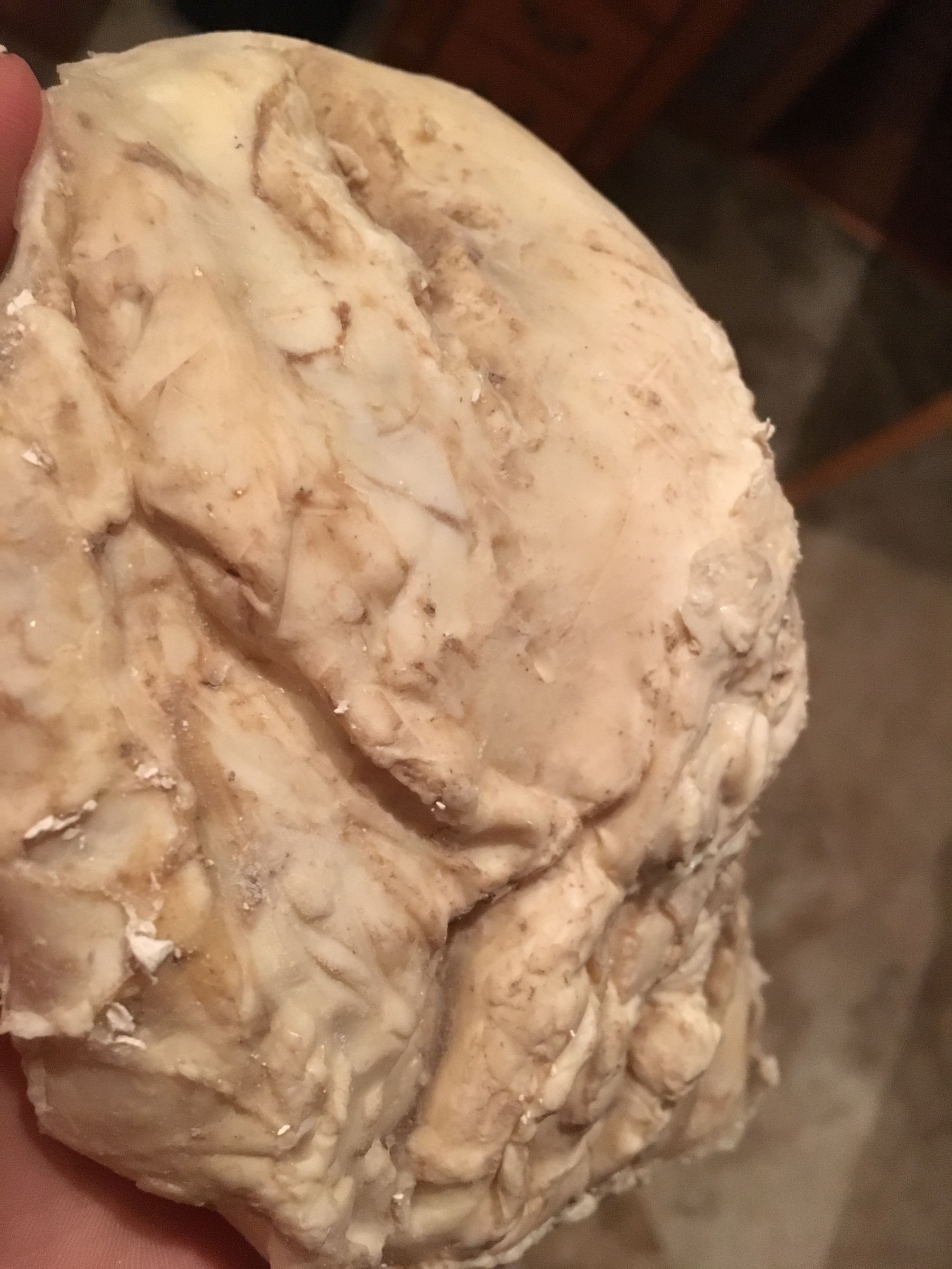 Easy Gore Mask : 8 Steps (with Pictures) - Instructables