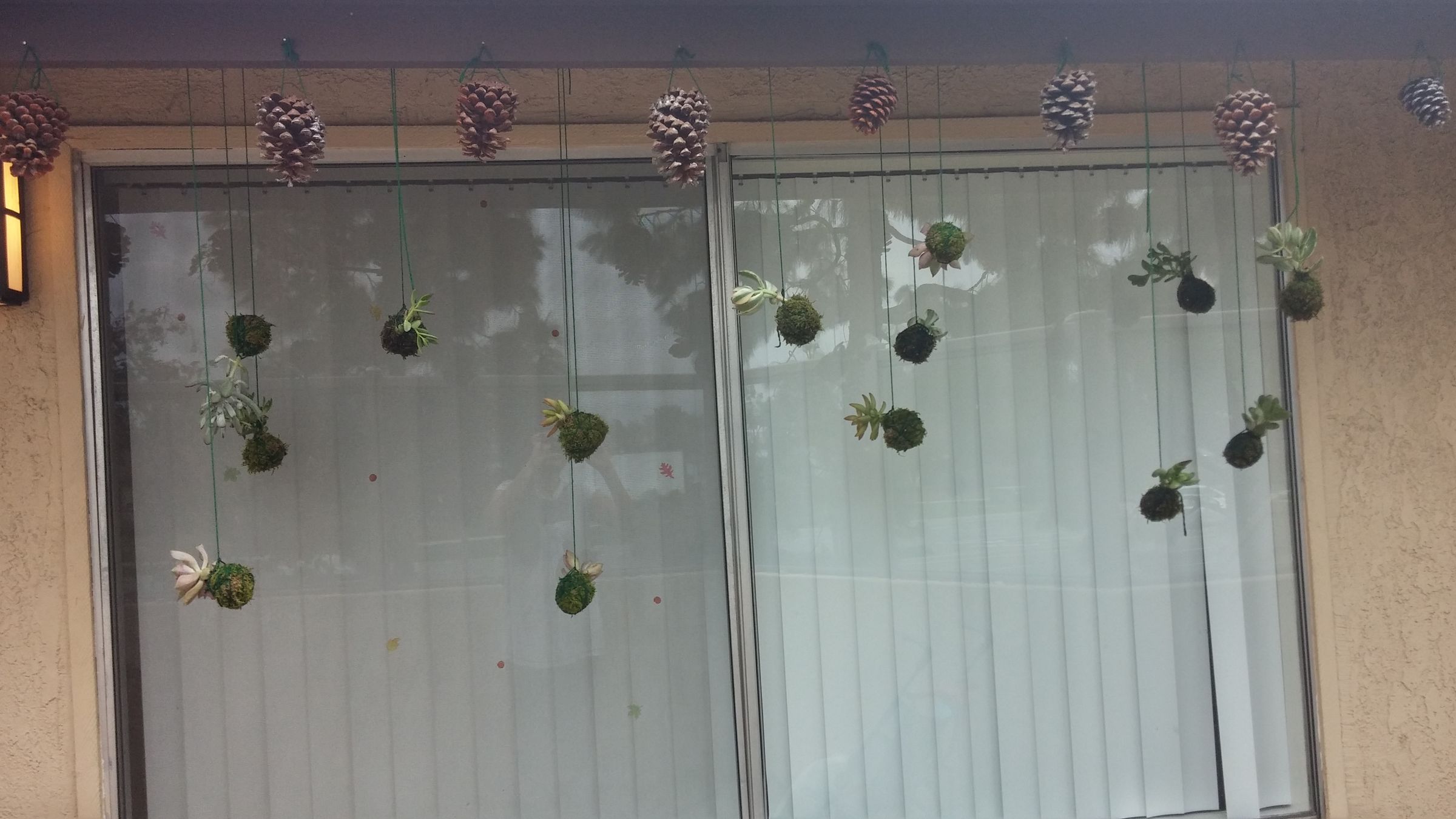 My String Garden : 3 Steps (with Pictures) - Instructables