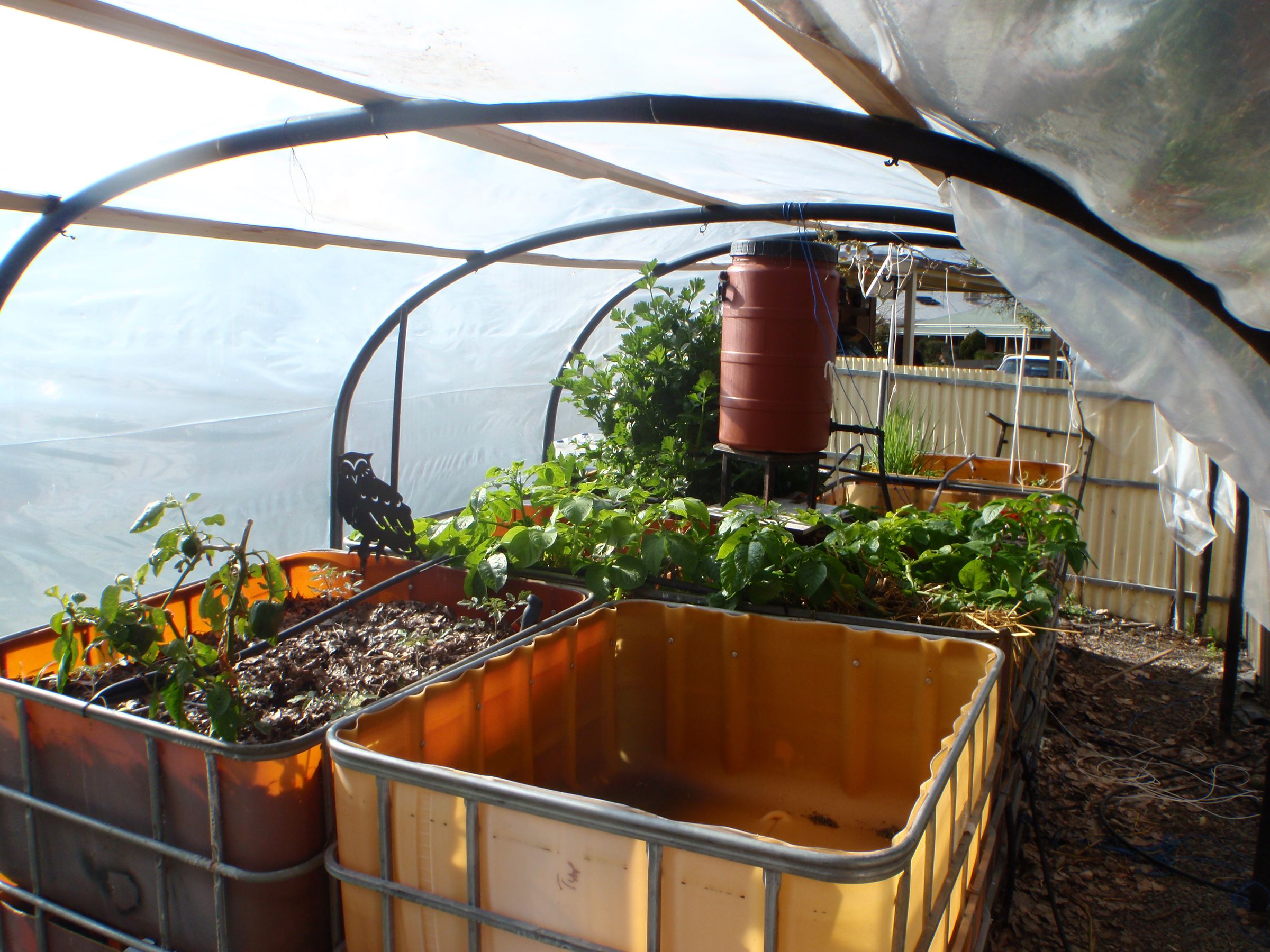 Vermiponic Garden : 12 Steps (with Pictures) - Instructables