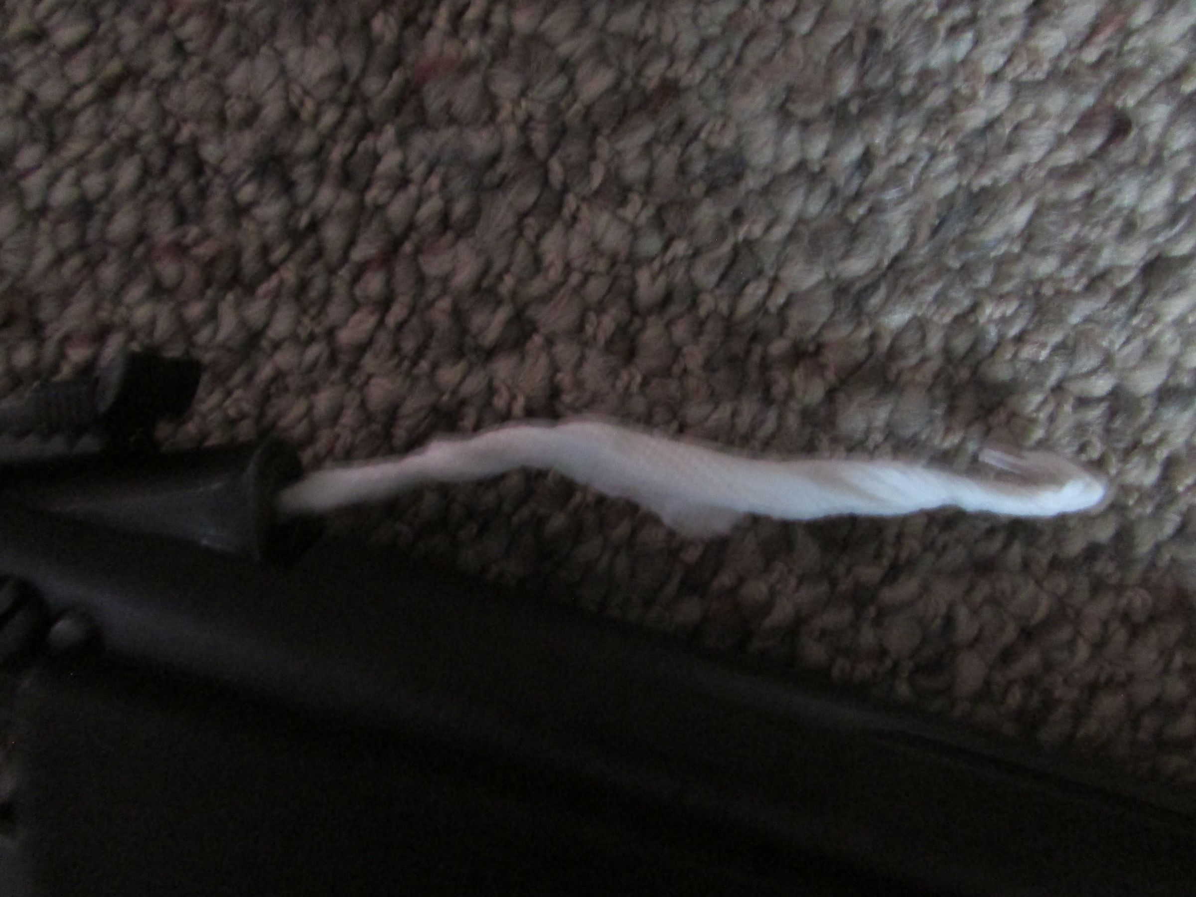 Fixing a Rifle That Is Miss Shooting - Instructables