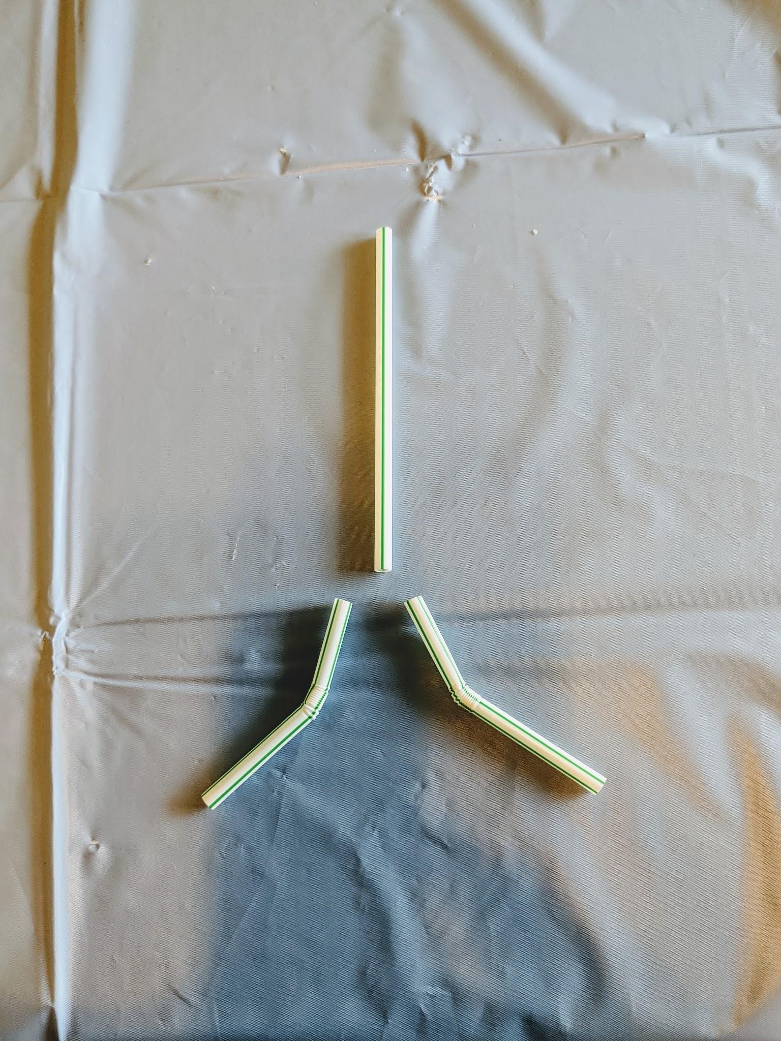 Make a Human Lung Model : 9 Steps (with Pictures) - Instructables