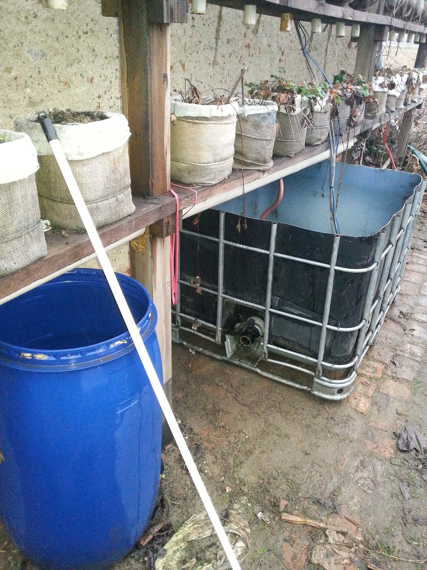 Nook Garden - Self Watering System (+ April Update) : 8 Steps (with ...