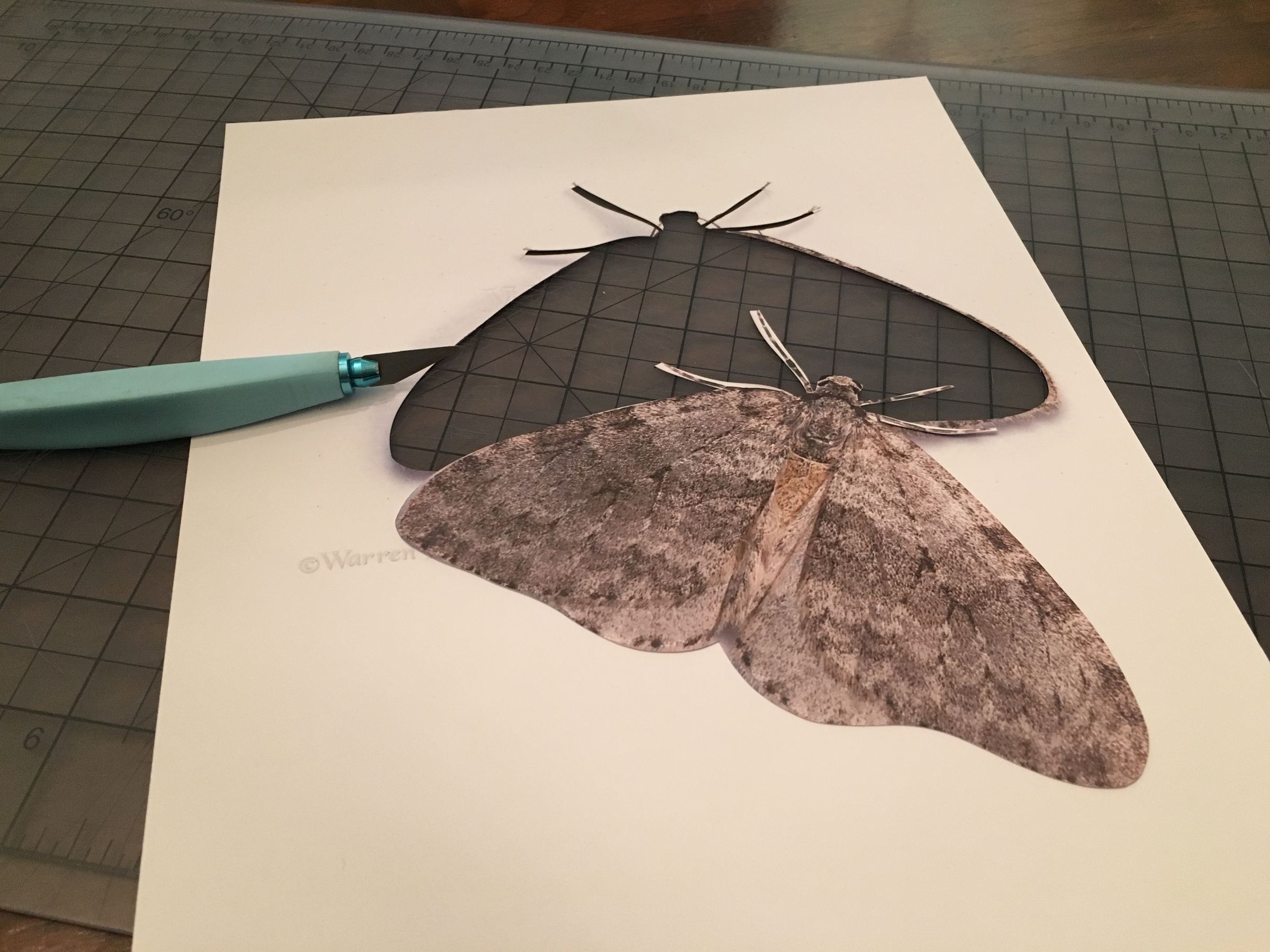 The Defective Mothball Costume : 8 Steps (with Pictures) - Instructables