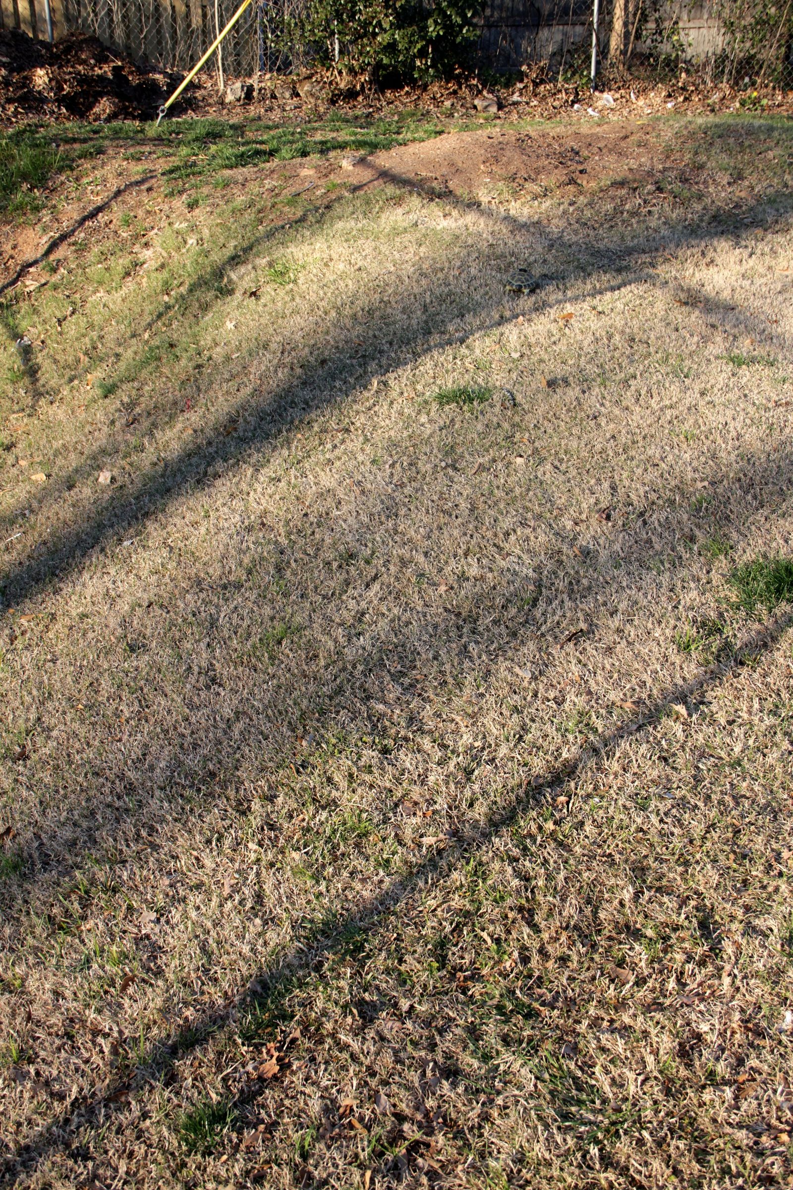 Tortoise Tracker (Analogue Version) : 5 Steps (with Pictures ...