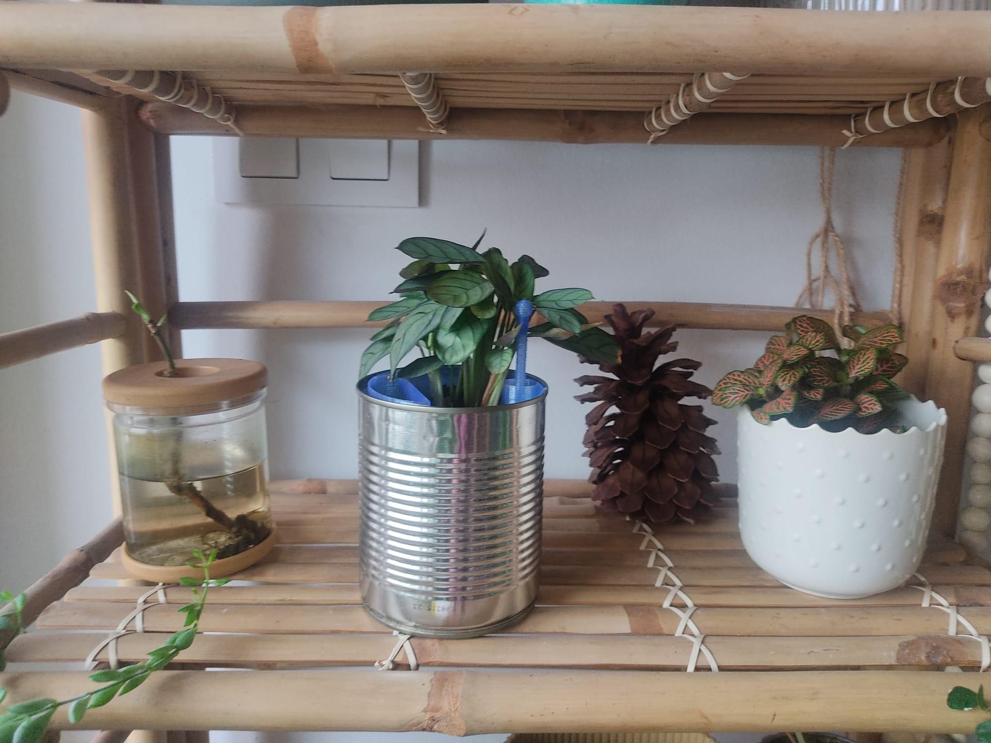 Self-Watering Pot With Water Level Indicator (With a Food Can) : 8 ...